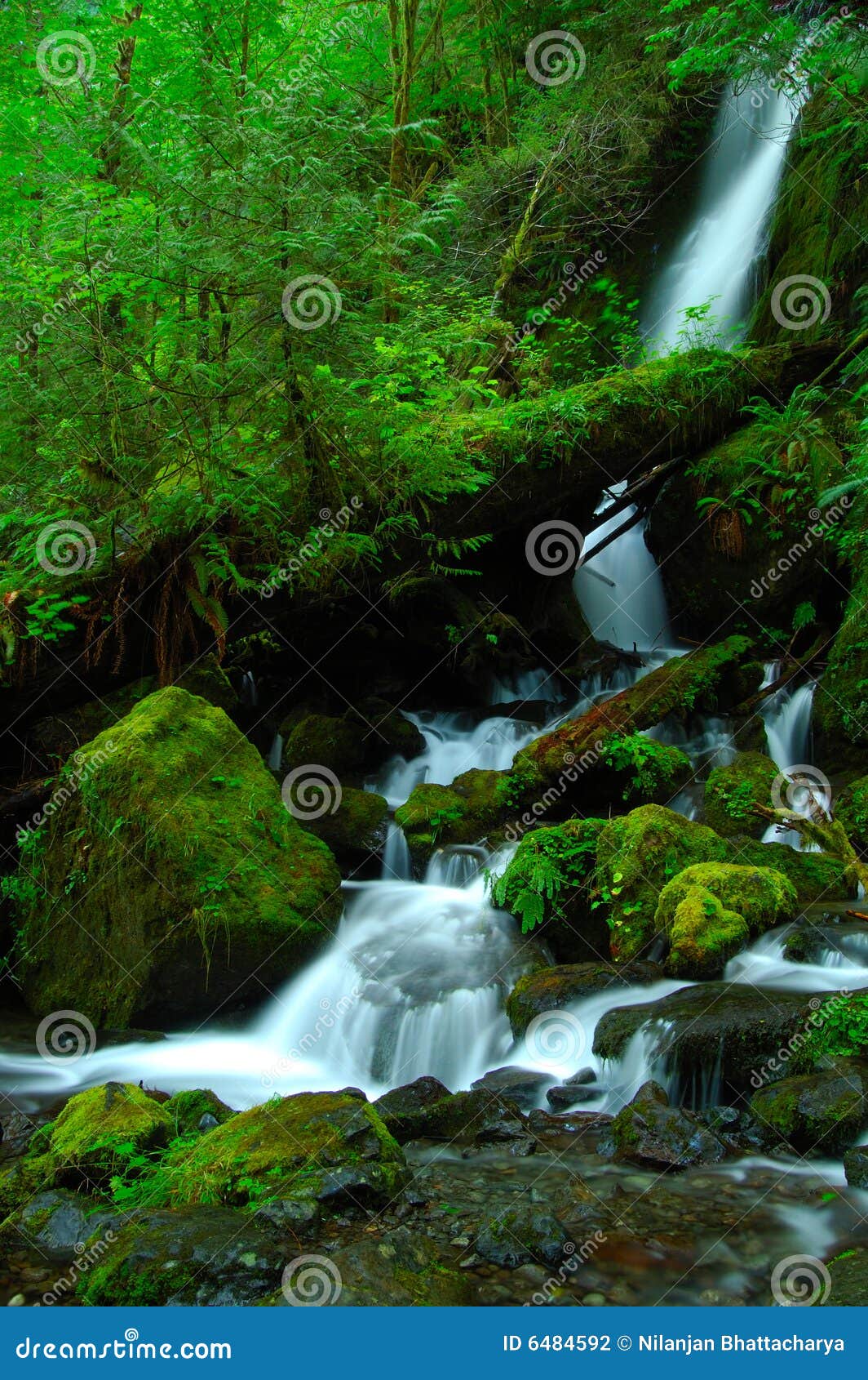A silky waterfall stock photo. Image of nature, snow, dream - 6484592