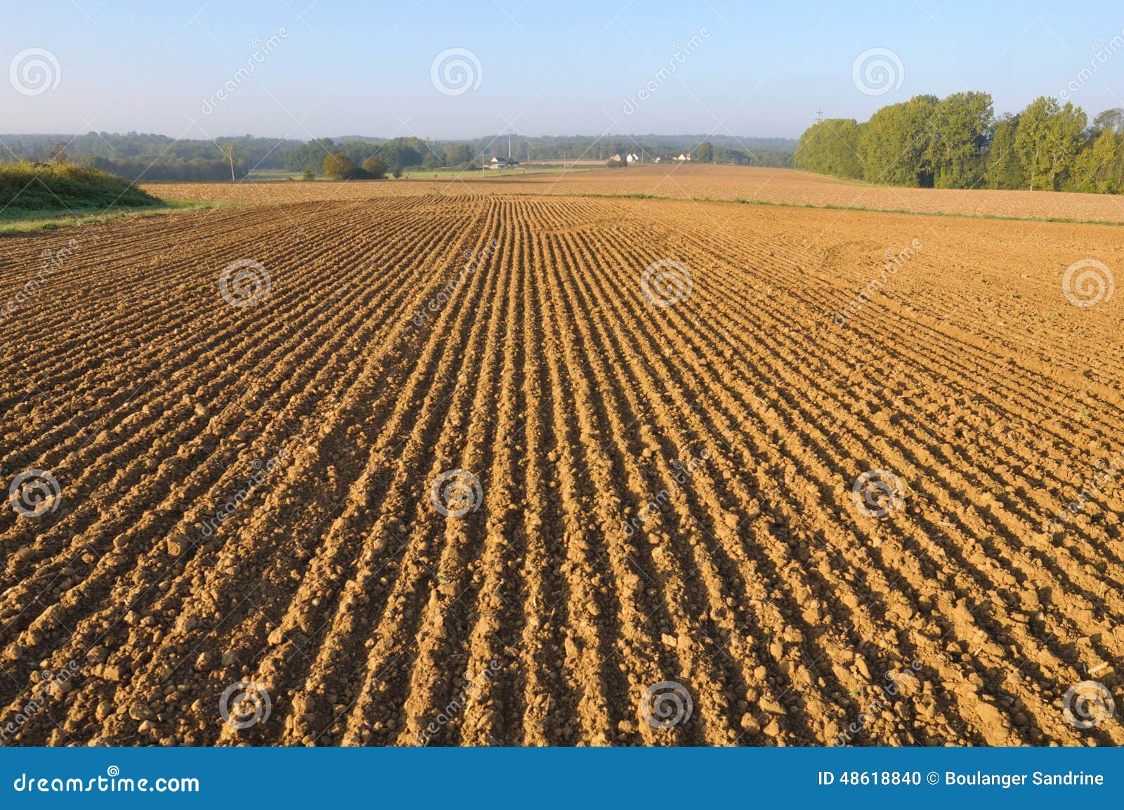 Sillons dans la terre photo stock. Image du lignes, labouré - 48618840