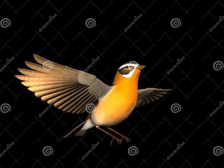 Silly Bird stock illustration. Illustration of garden, wildlife - 252511