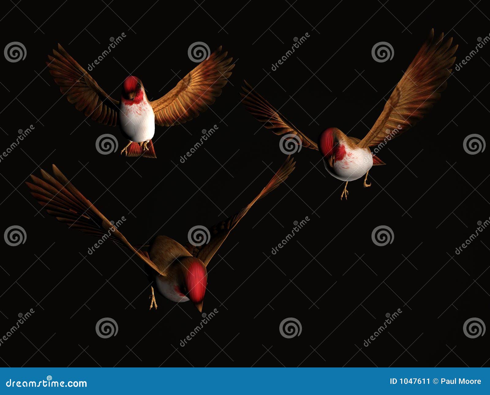 Silly Birds stock illustration. Illustration of long, blue - 1047611