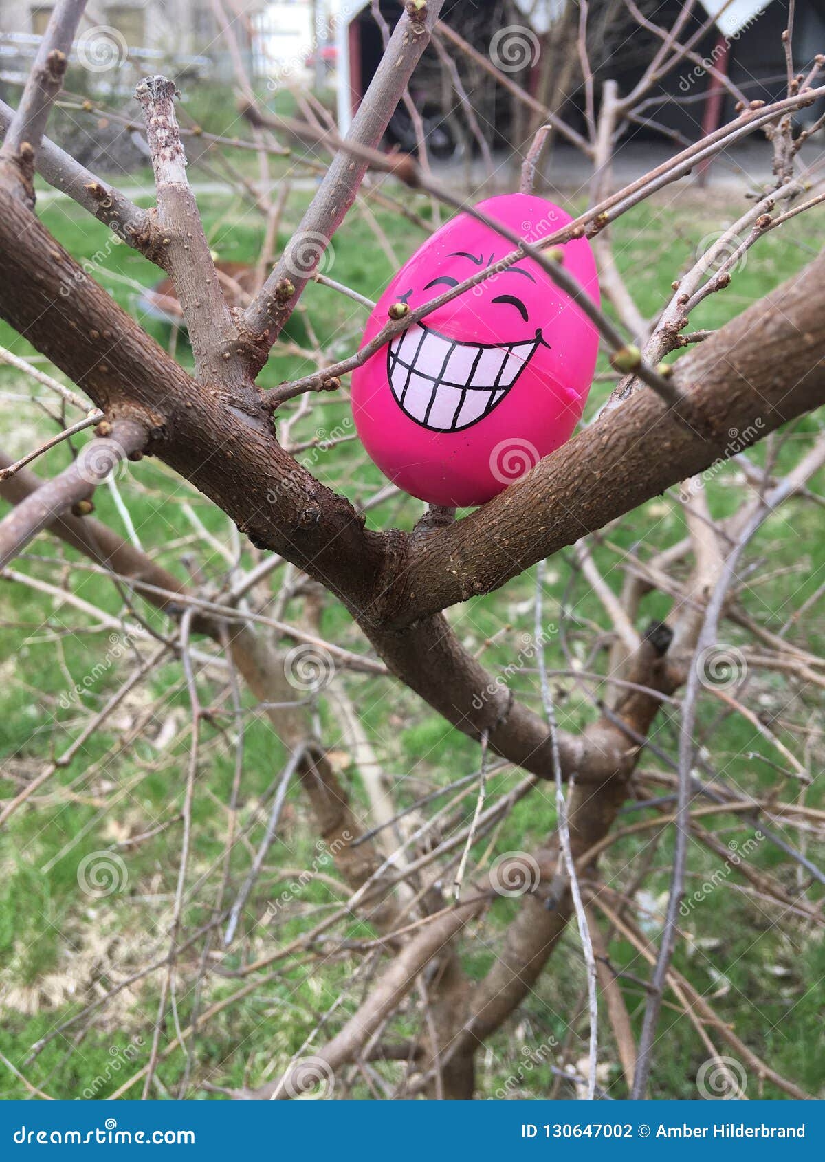 Silly Eggs stock photo. Image of funny, silly, face - 130647002