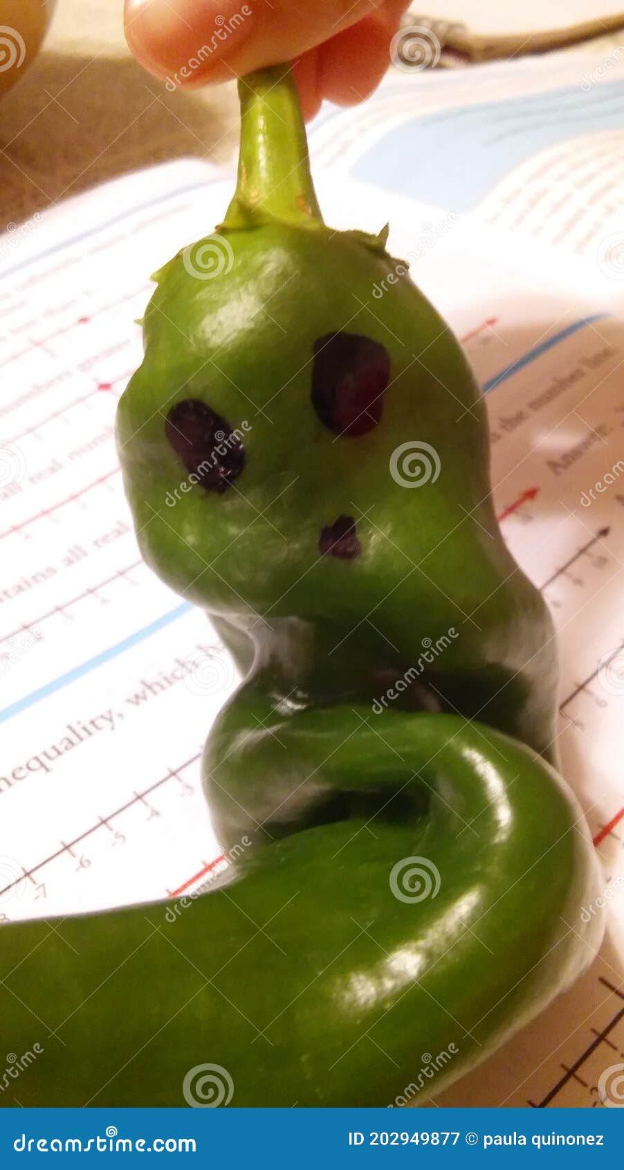 Silly green pepper stock image. Image of produce, shrub - 202949877