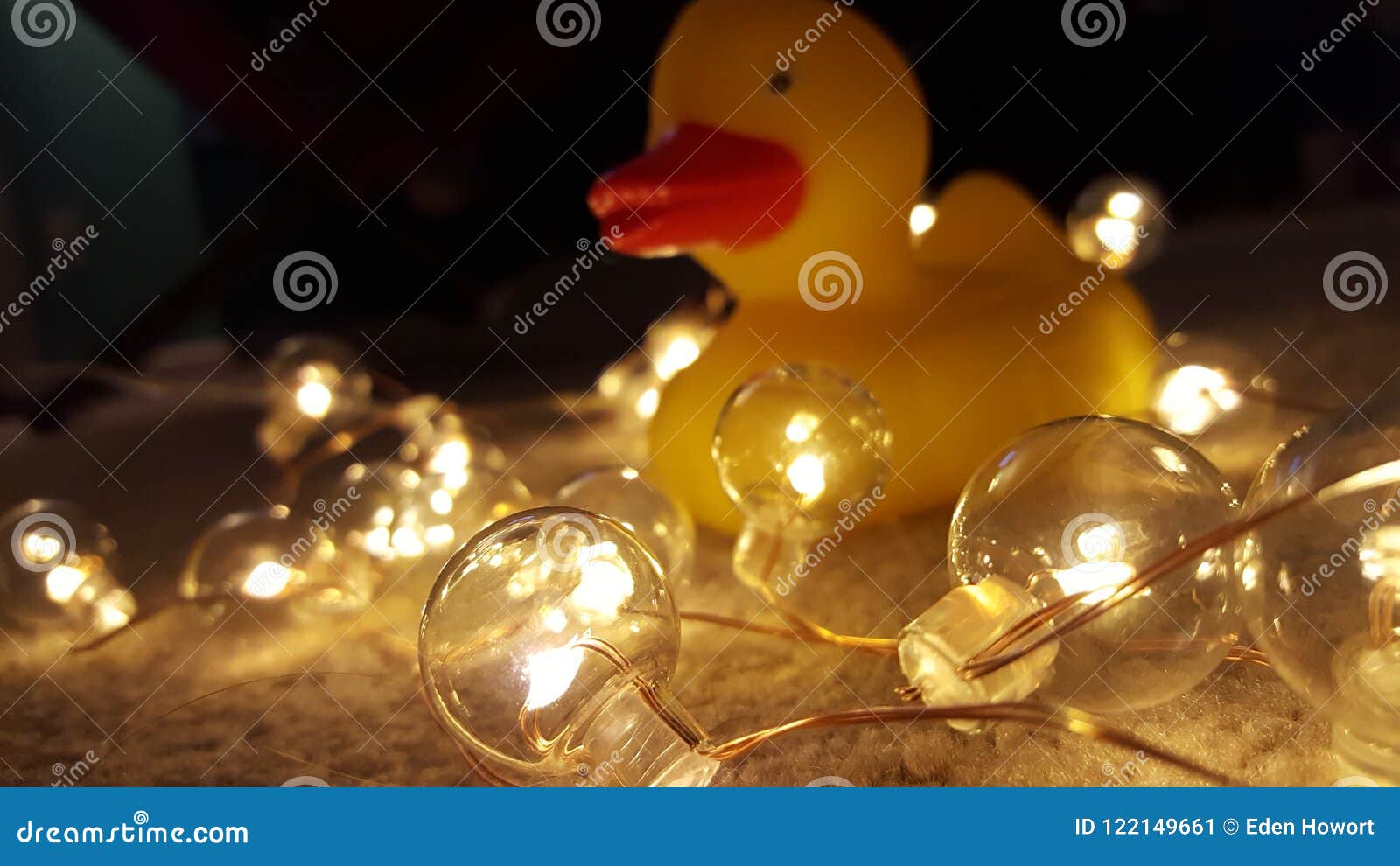 Duck in Lights stock image. Image of silly, rubber, lights - 122149661