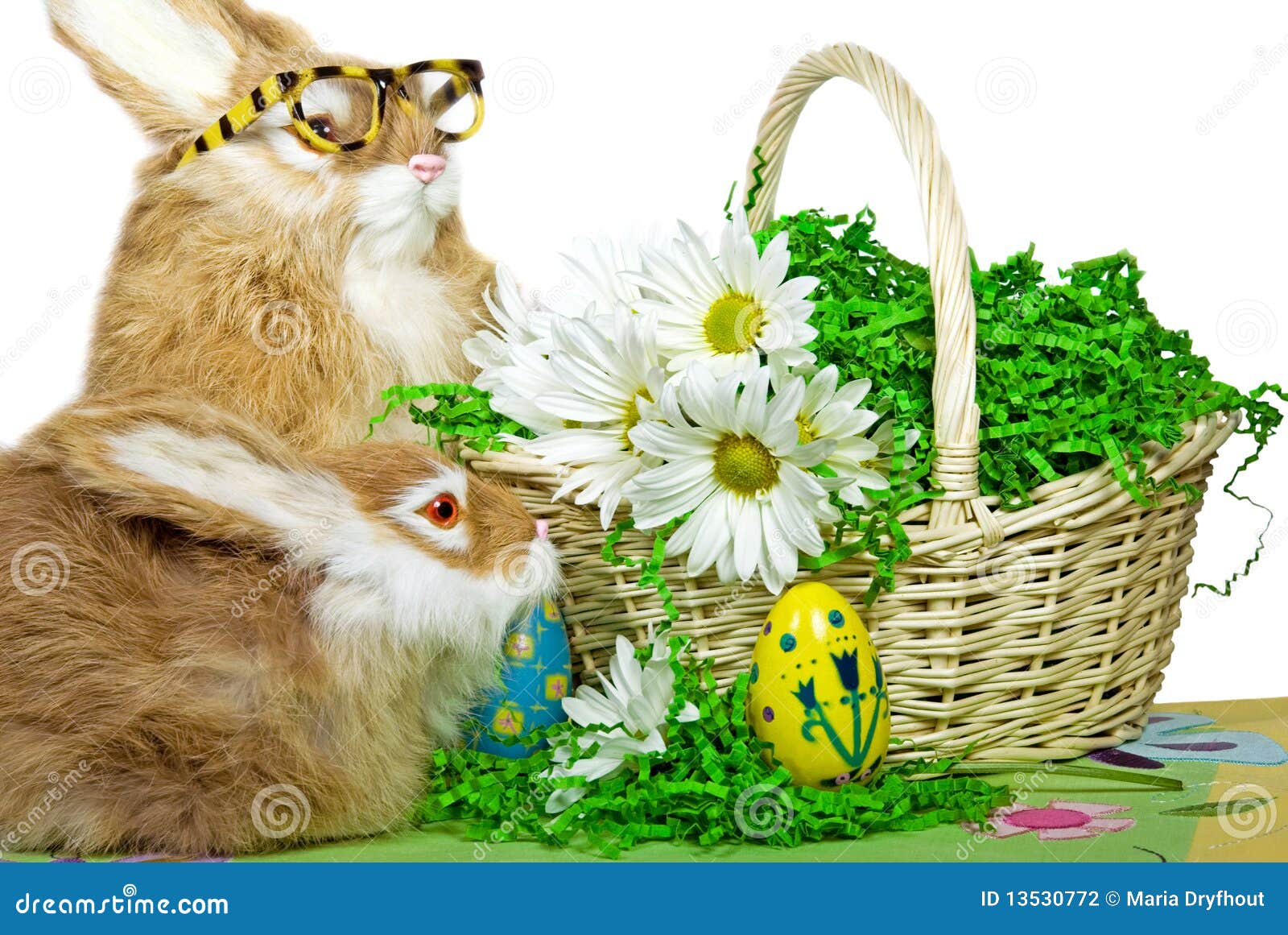 Silly Rabbit stock photo. Image of hare, easter, cute - 13530772
