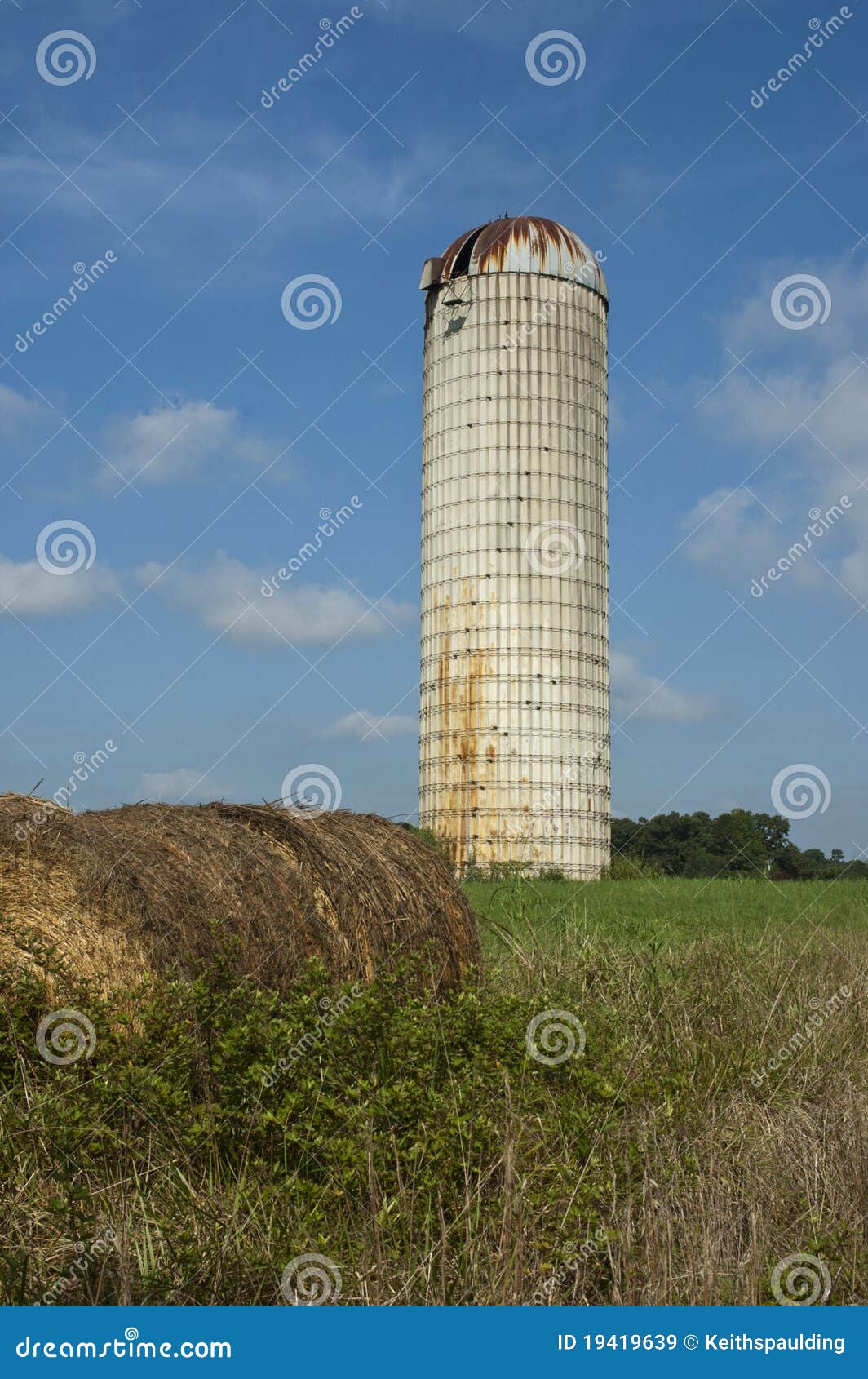 Silo stock image. Image of structure, cylindrical, storage - 19419639