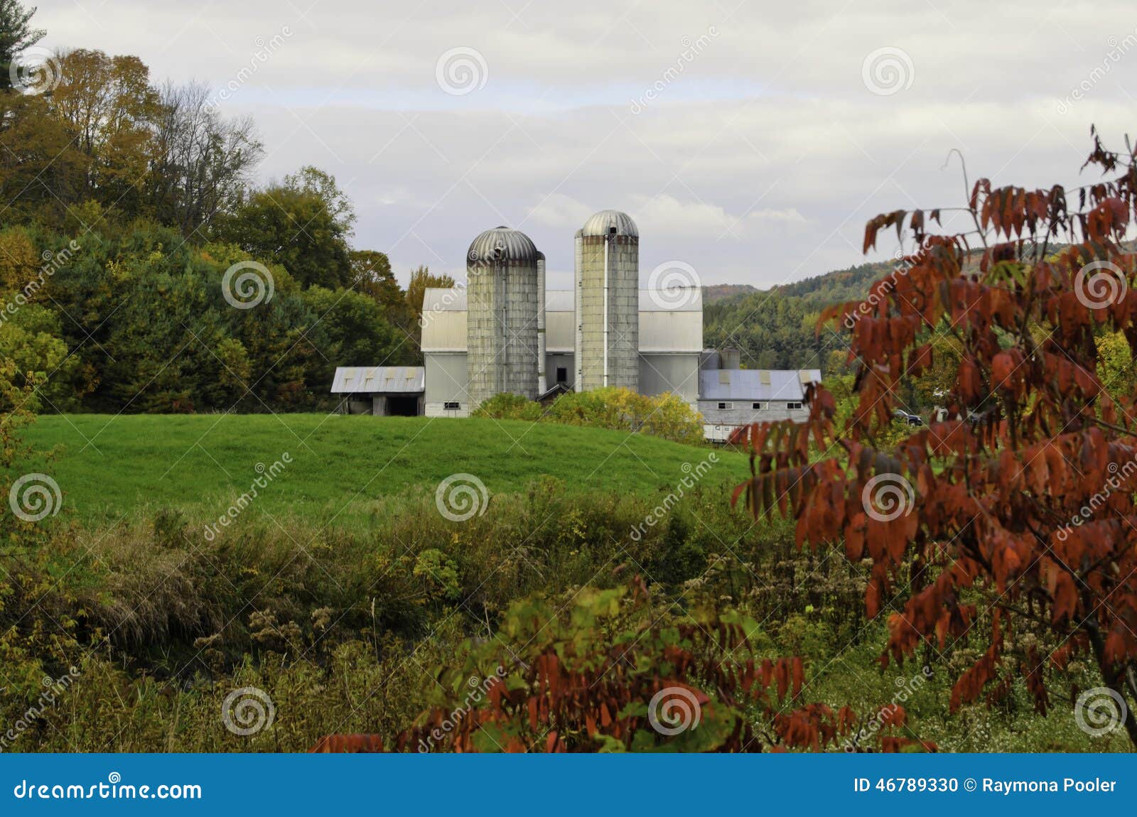 Silo with feed stock photo. Image of meadow, agriculture - 46789330