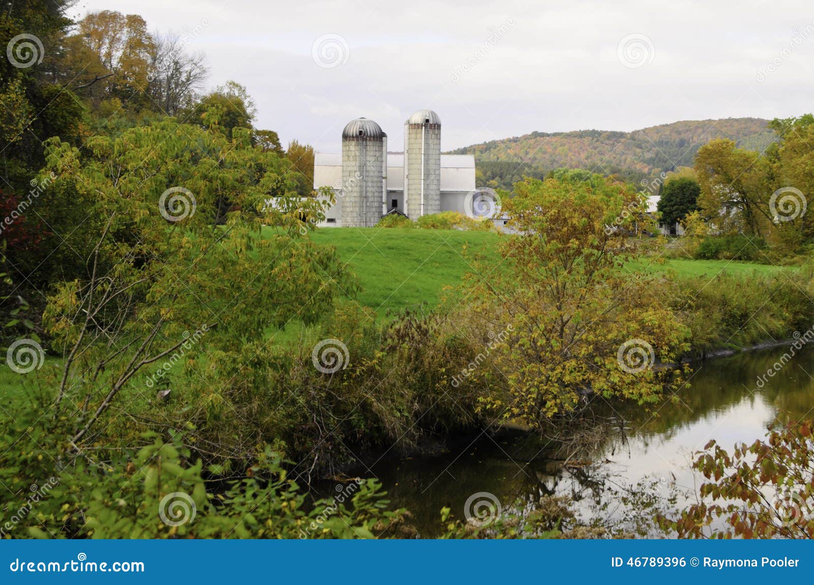 Silo with feed stock photo. Image of barn, grow, countryside - 46789396