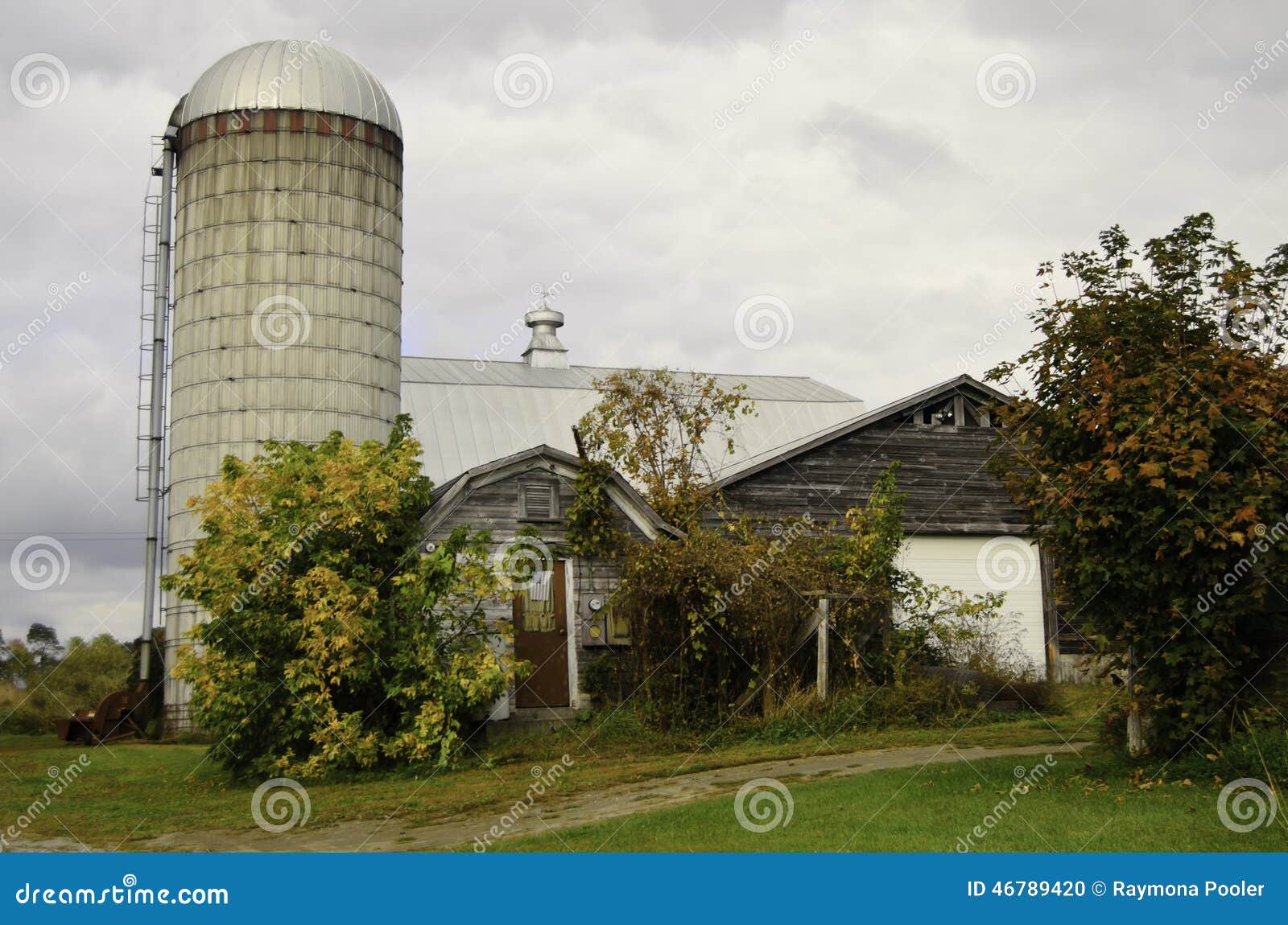 Silo with feed stock photo. Image of green, food, building - 46789420
