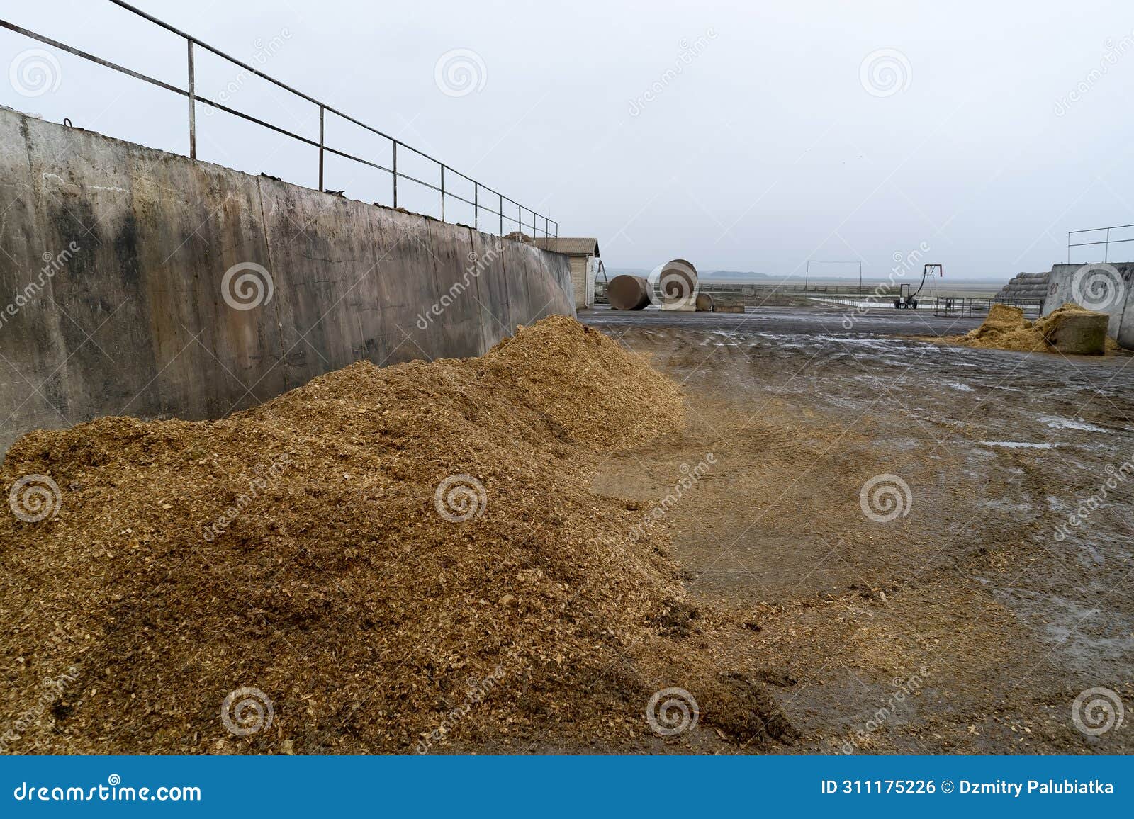 Silo Pit, Animal Feed Storage Stock Photo - Image of green, silage ...