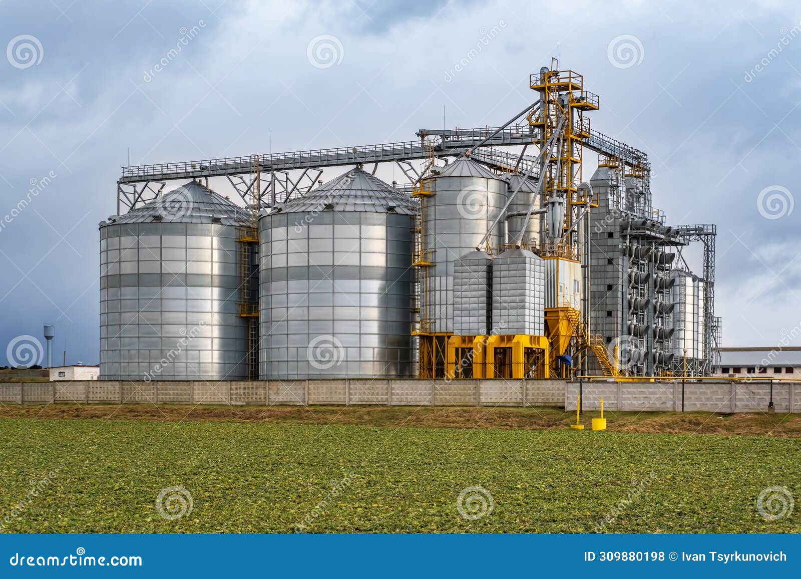 Silos on Agro-industrial Complex with Seed Cleaning and Drying Line for ...