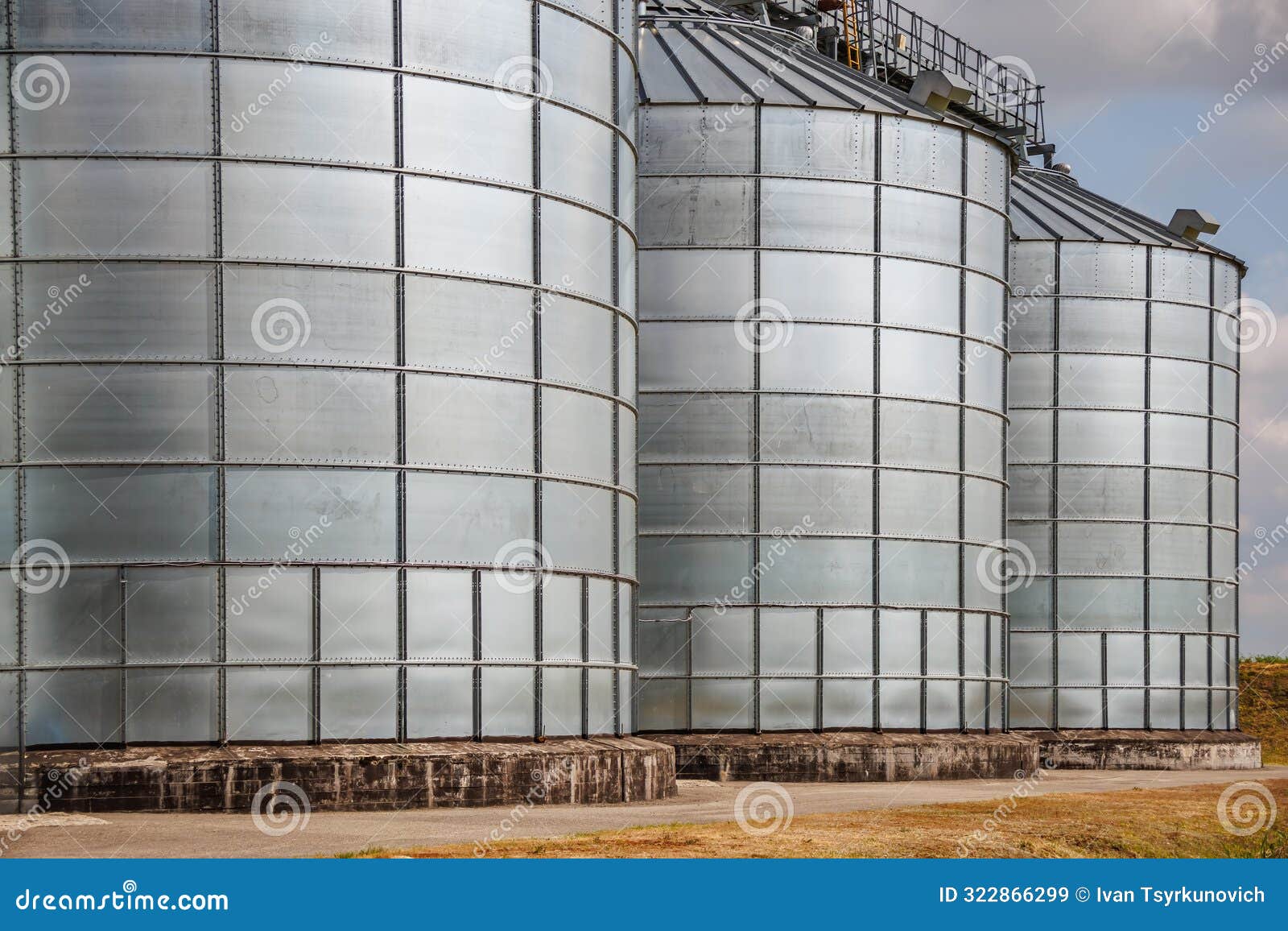 Silos on Agro-industrial Complex with Seed Cleaning and Drying Line for ...
