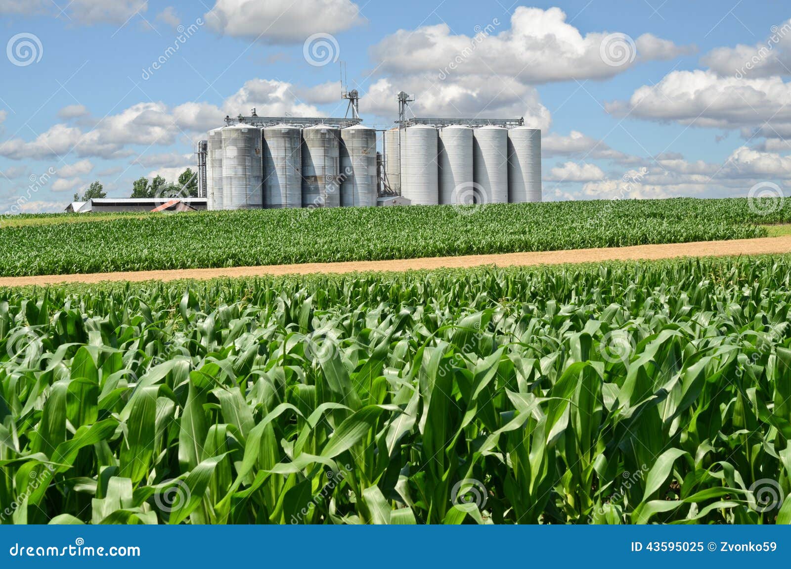 Silos stock image. Image of farmland, agricultural, field - 43595025