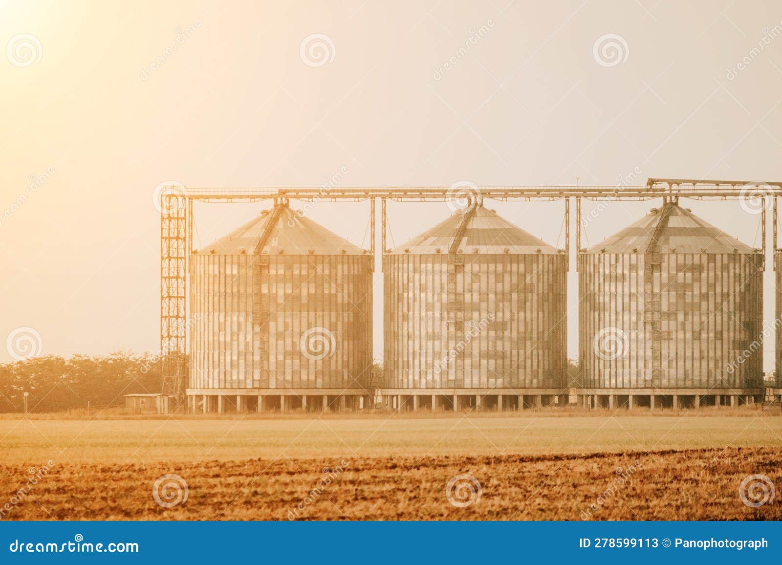 Silos and Granary Elevator. Modern Agro-processing Manufacturing Plant ...