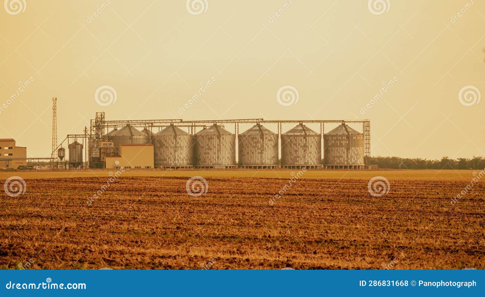 Silos And Granary Elevator. Modern Agro-processing Manufacturing Plant ...