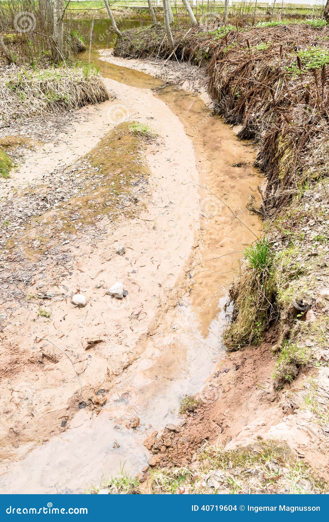 Silt eroding along creek stock photo. Image of clear - 40719604