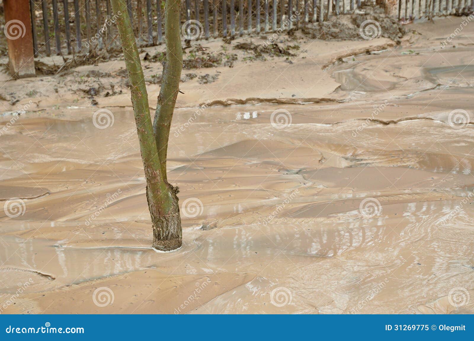 Mudflow Mass Movement