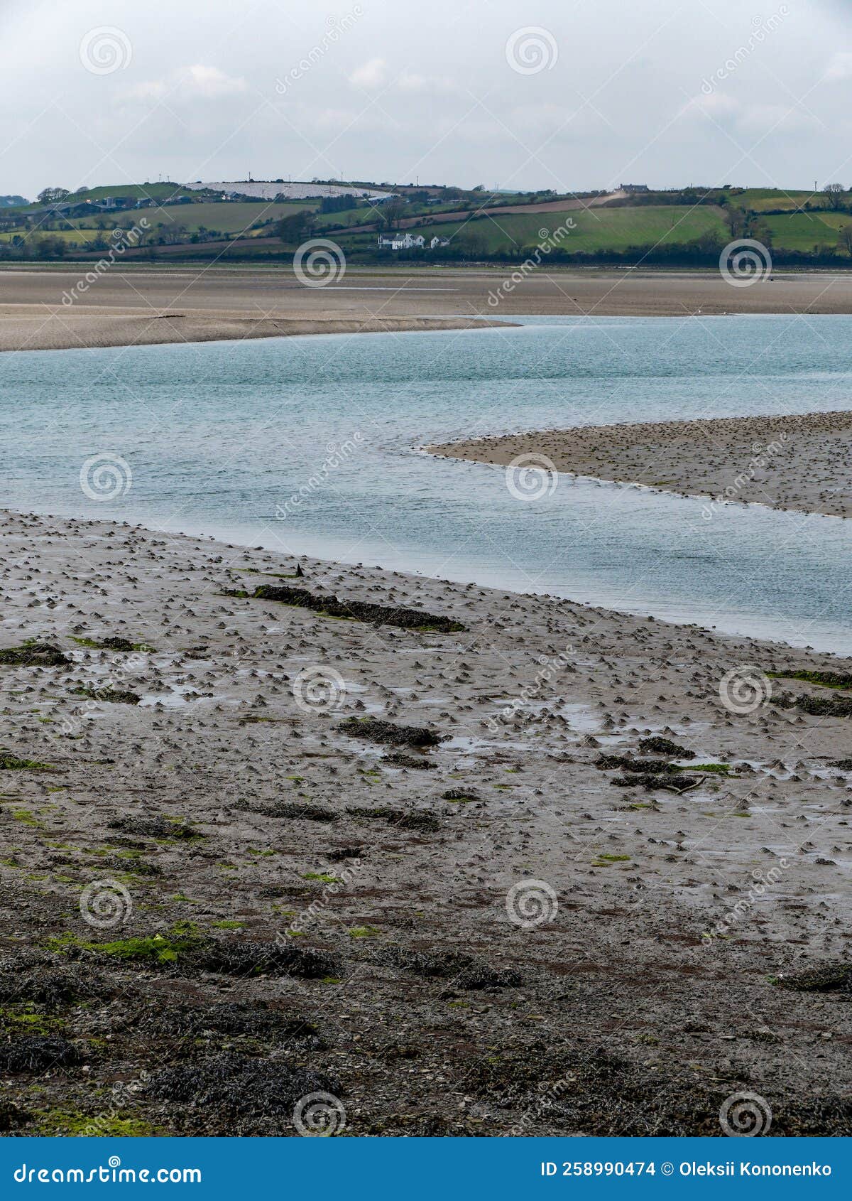 Silt on the Seabed. the Shallow Sea Stock Photo - Image of cloud ...