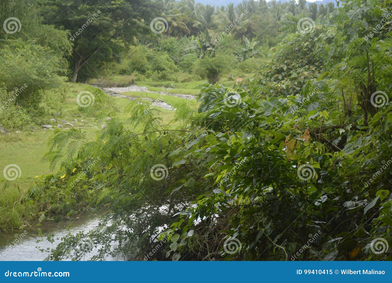 Siltation is Clear of this River. Stock Image - Image of raised, ideal ...