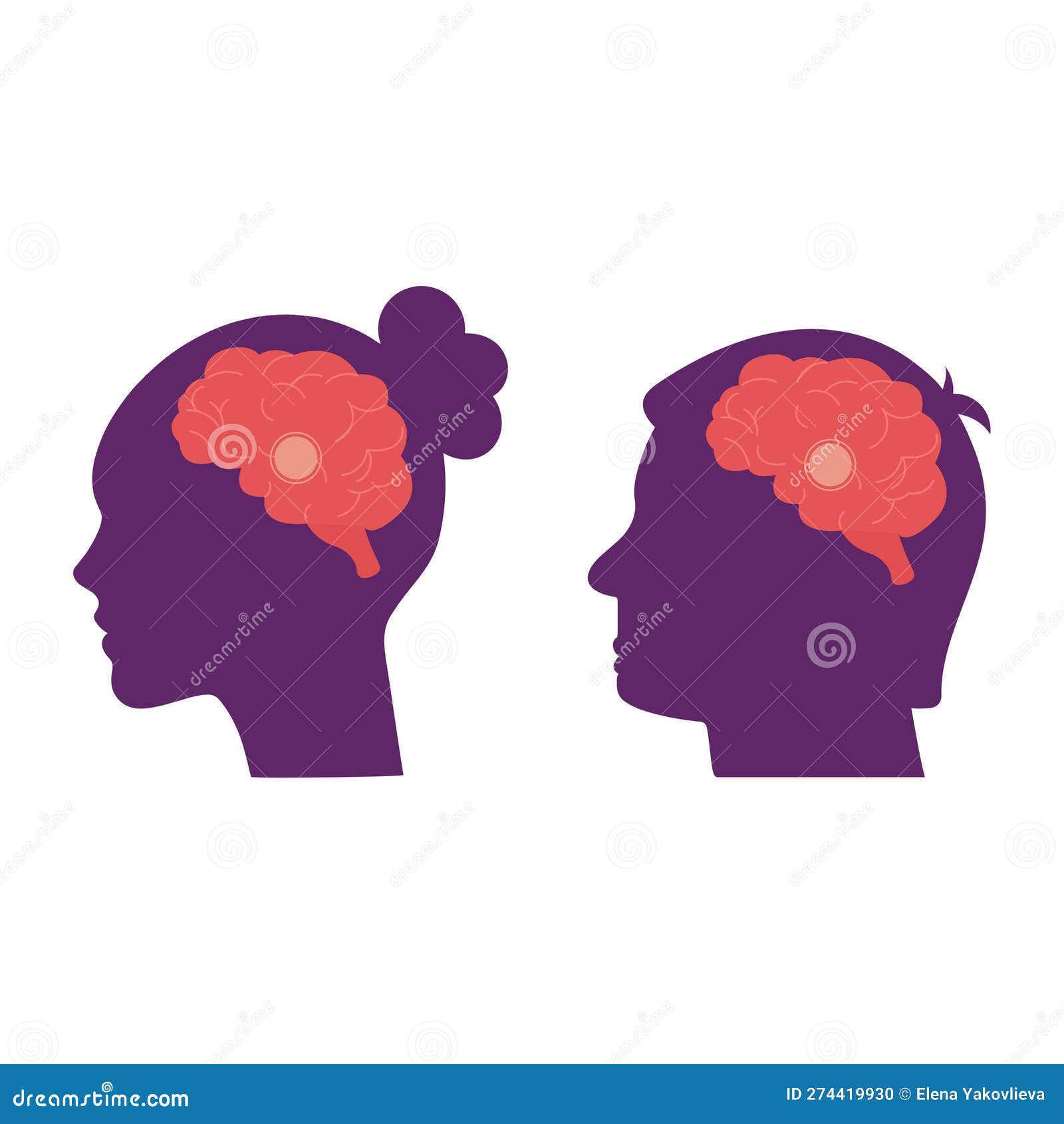 Silueta De Cabeza De Una Mujer Y Un Hombre Con Cerebro De Tipo Plano Ilustración Del Vector