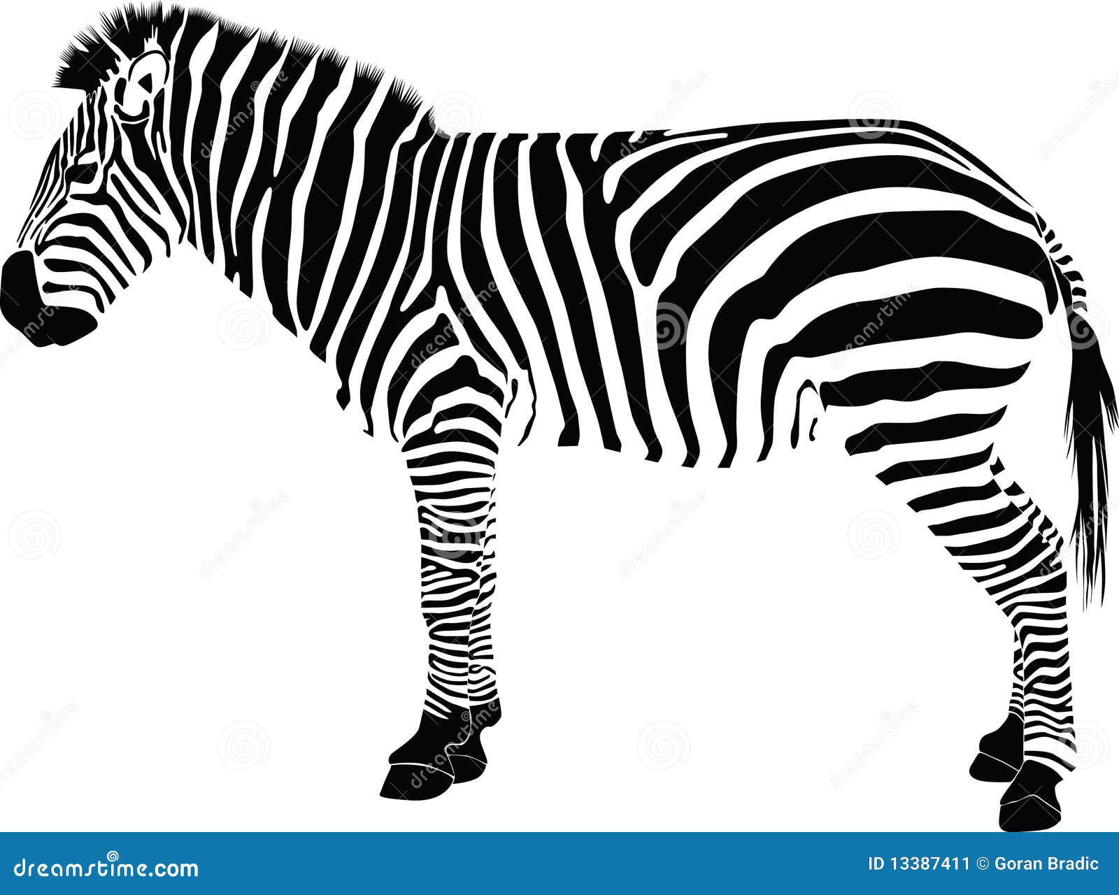 Silueta de la cebra ilustración del vector. Ilustración de travieso ...