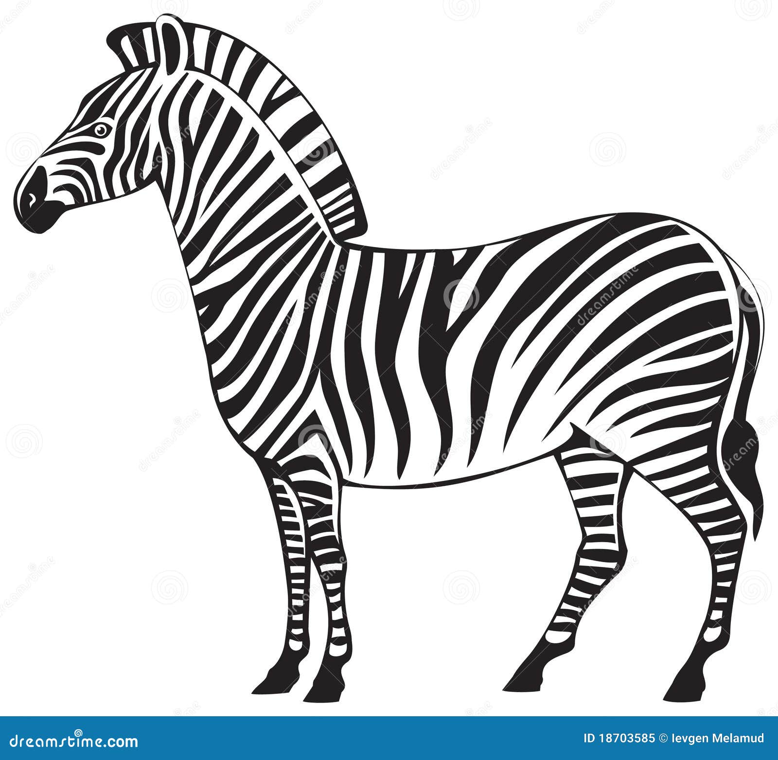 Silueta de la cebra ilustración del vector. Ilustración de salvaje ...