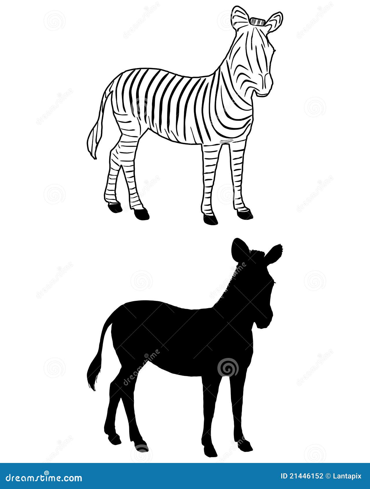 Silueta de la cebra ilustración del vector. Ilustración de caballo ...