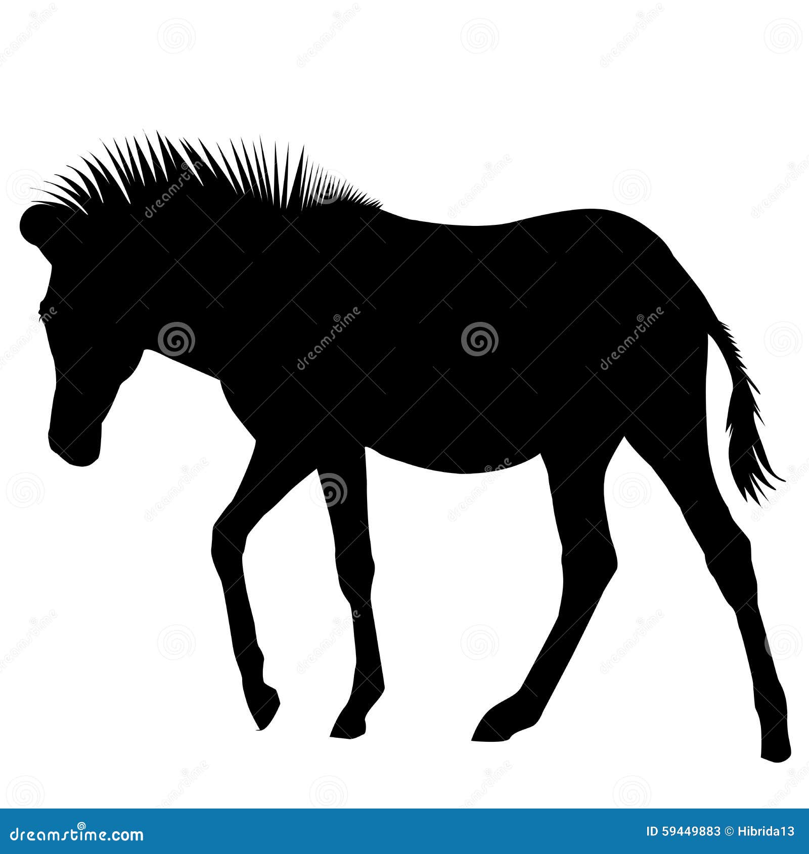 Silueta de la cebra ilustración del vector. Ilustración de selva - 59449883