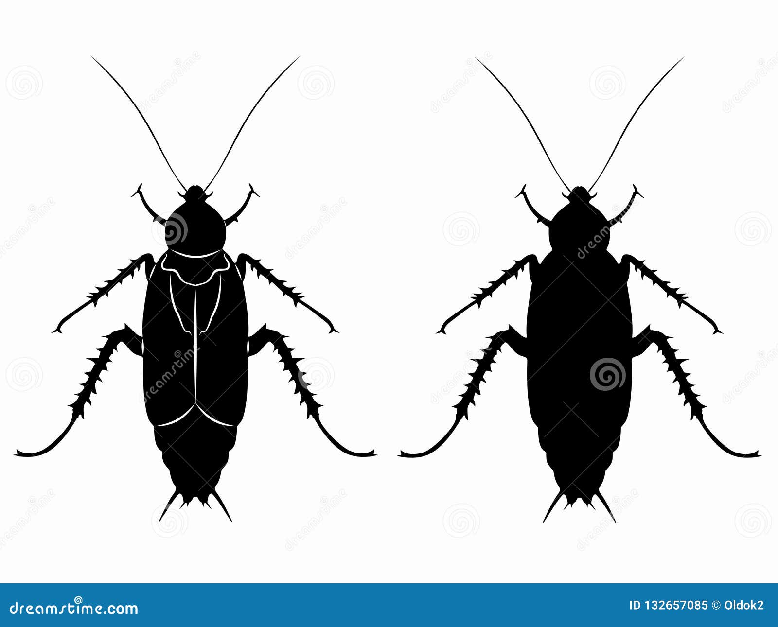 Silueta De La Cucaracha, Drenaje Del Vector Ilustración del Vector ...