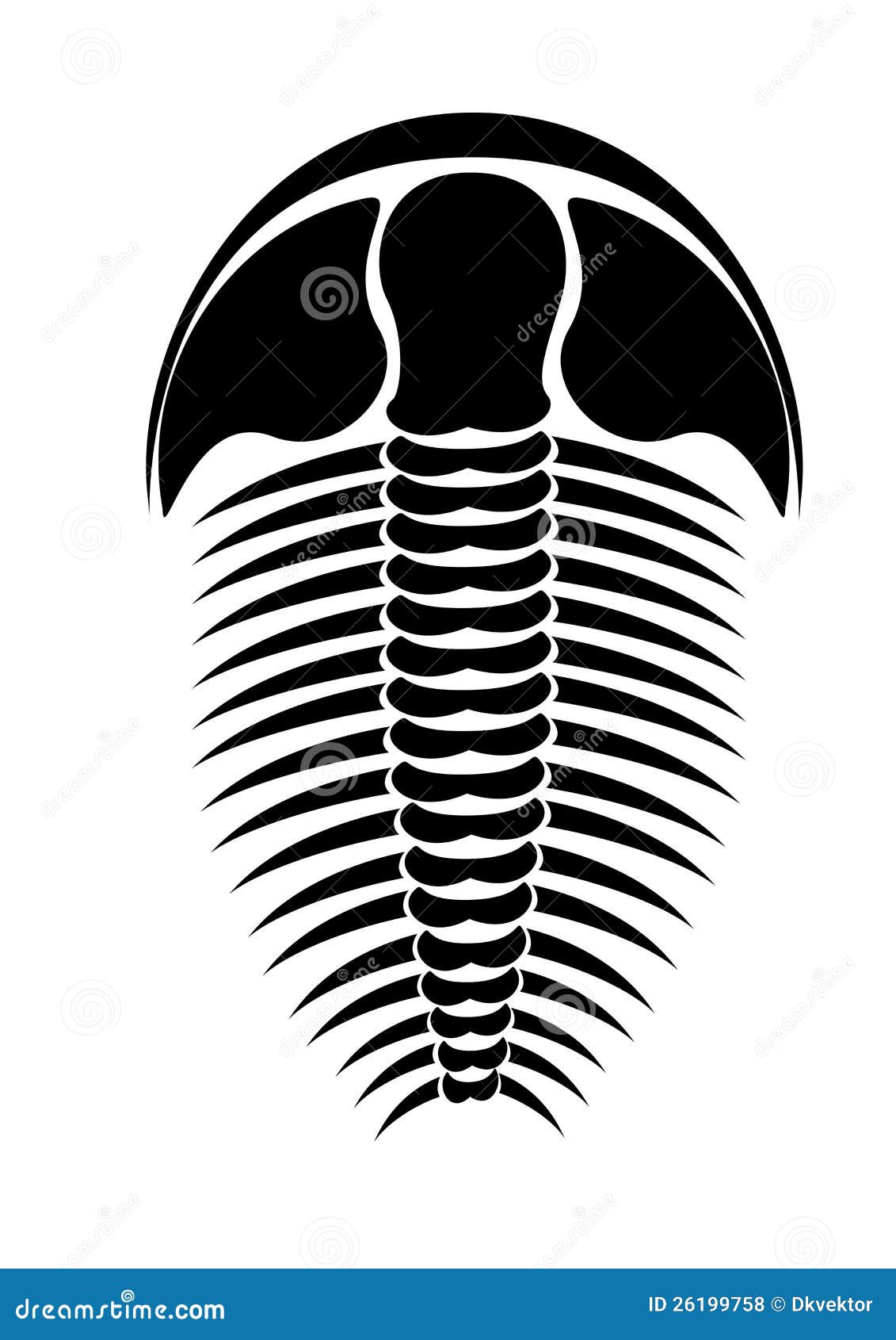 Silueta de Trilobite stock de ilustración. Ilustración de arte - 26199758