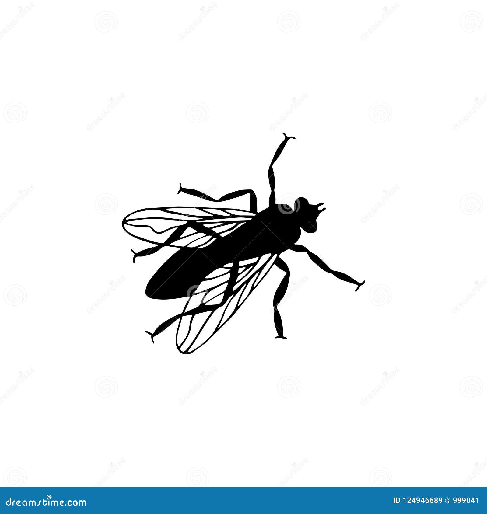 Silueta De Un Ejemplo De La Mosca Ilustración del Vector - Ilustración ...