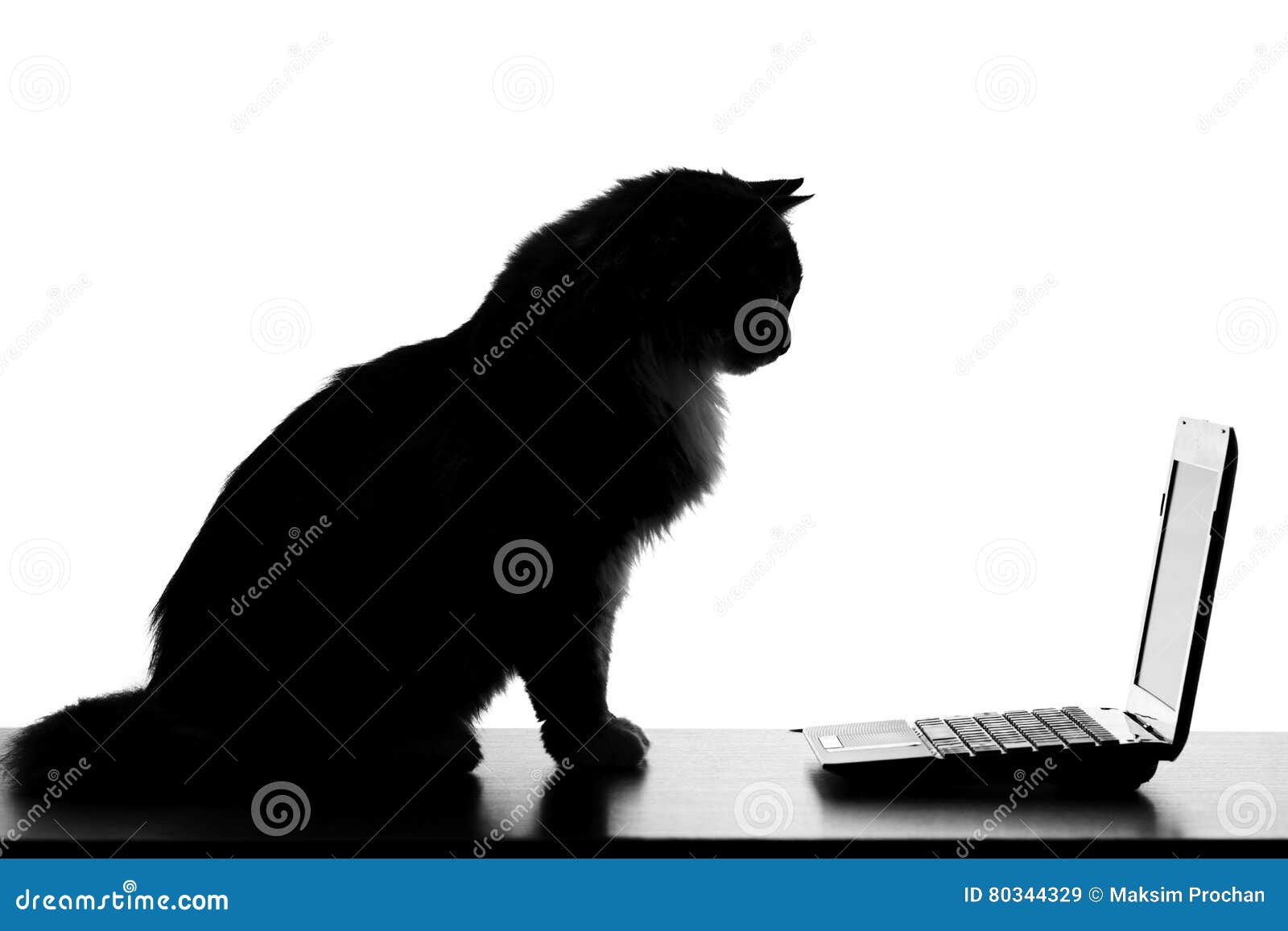 Silueta Del Gato Con Netbook En La Tabla Imagen de archivo - Imagen de ...