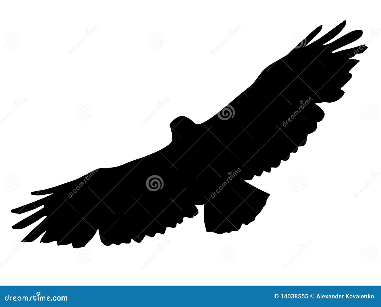 Silueta del halcón ilustración del vector. Ilustración de vector - 14038555