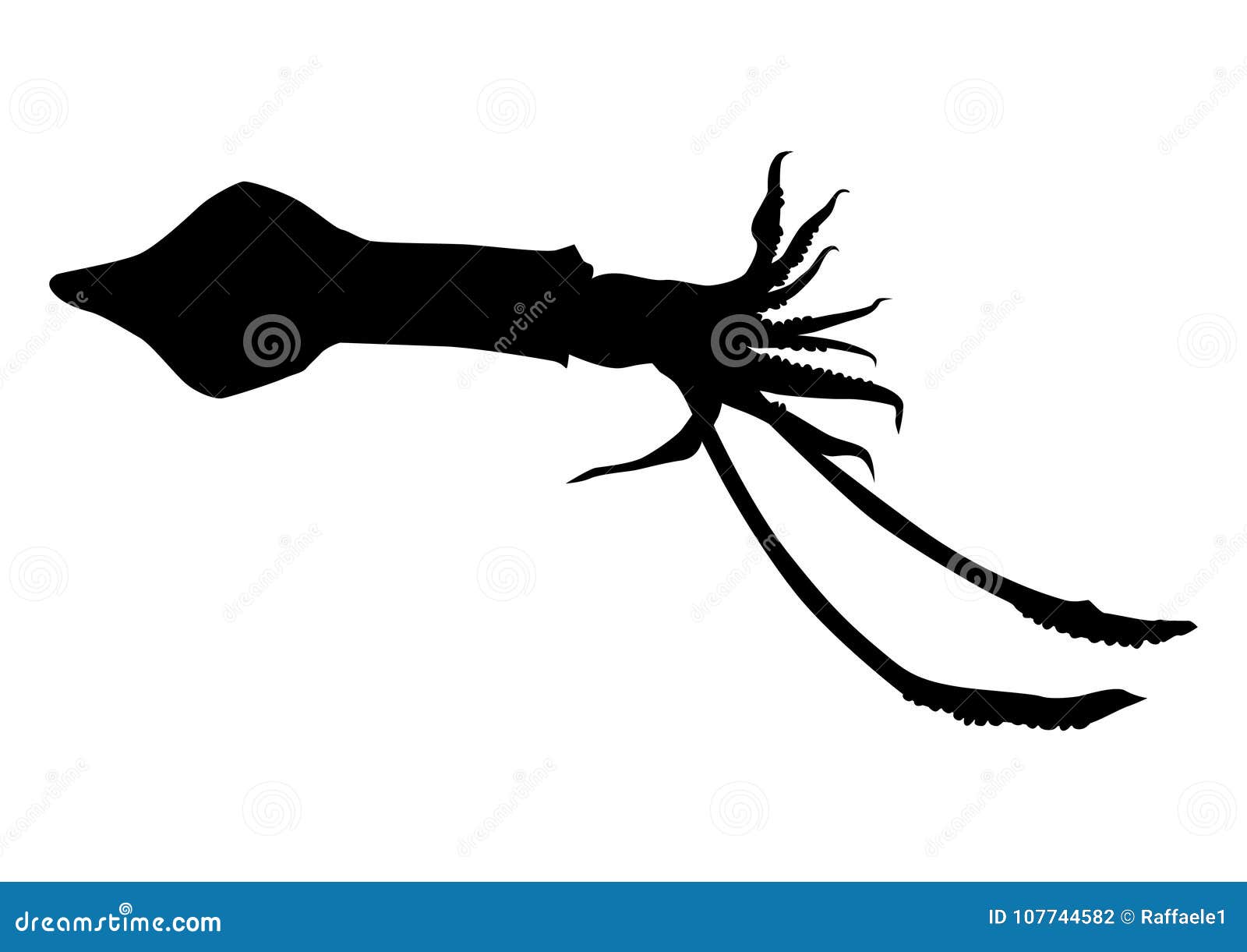 Silueta Del Vector Del Calamar Ilustración del Vector - Ilustración de ...