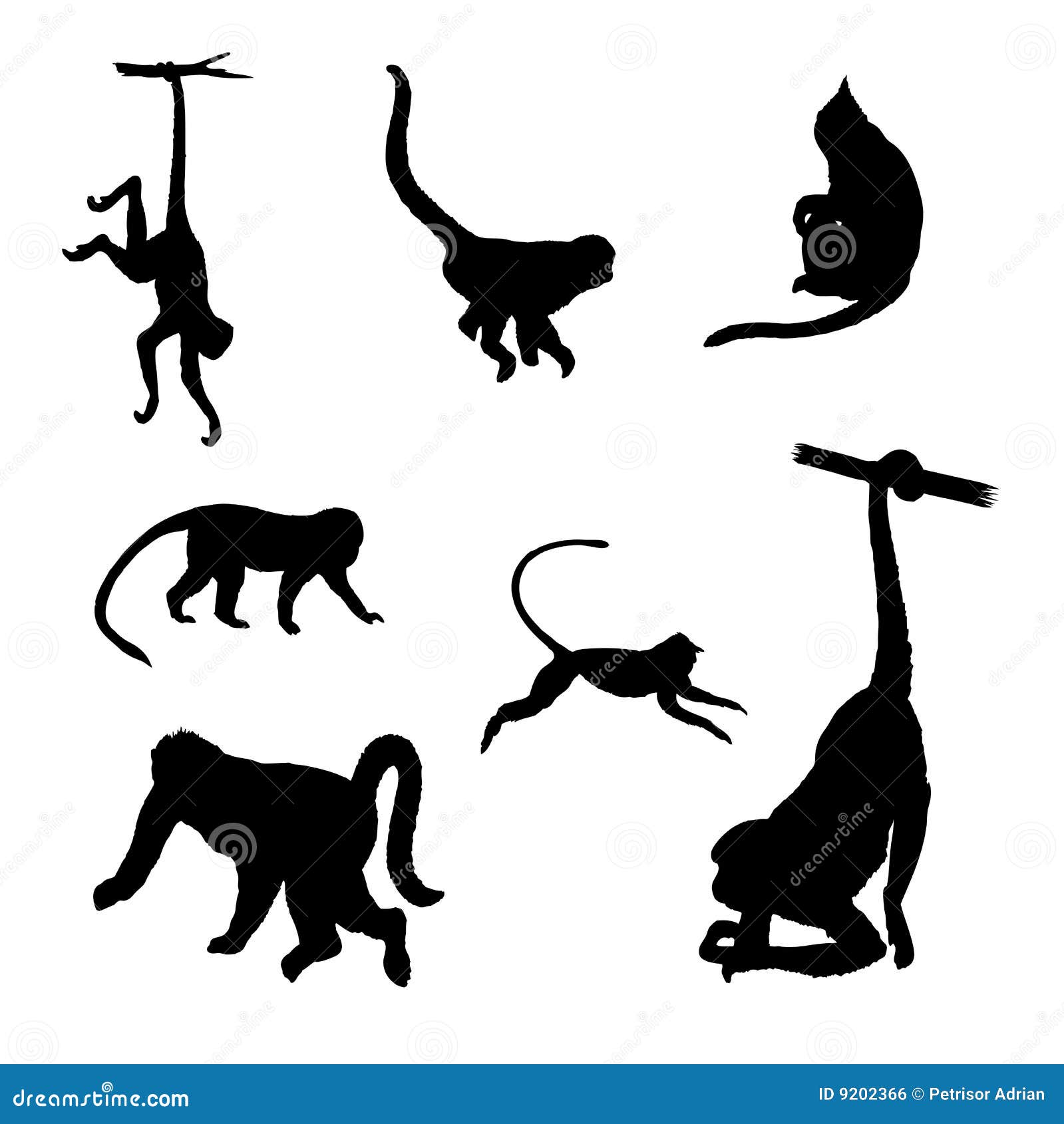 Siluetas Aisladas Del Vector Del Mono Ilustración del Vector ...
