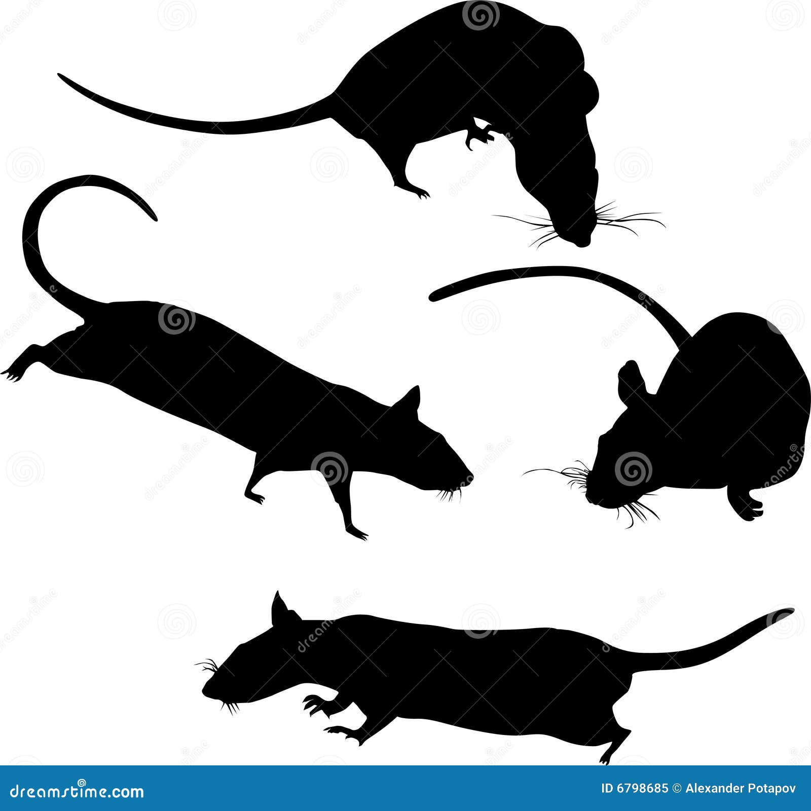 Siluetas de cuatro ratas stock de ilustración. Ilustración de mascota ...