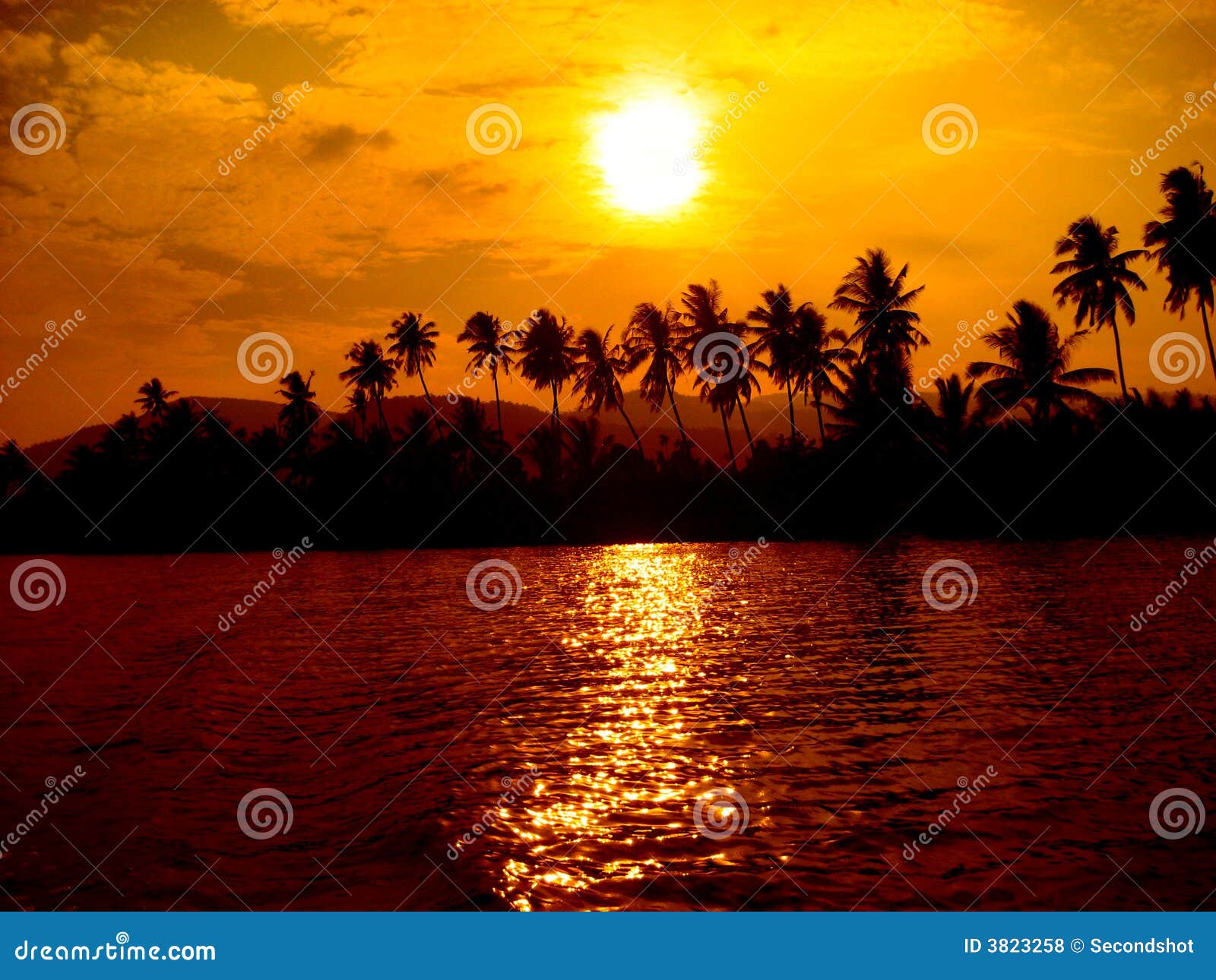 Siluetas de la palmera foto de archivo. Imagen de recorrido - 3823258