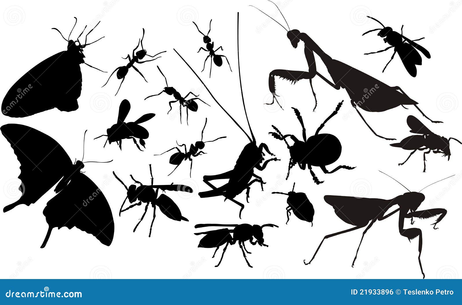 Siluetas de los insectos ilustración del vector. Ilustración de formas ...