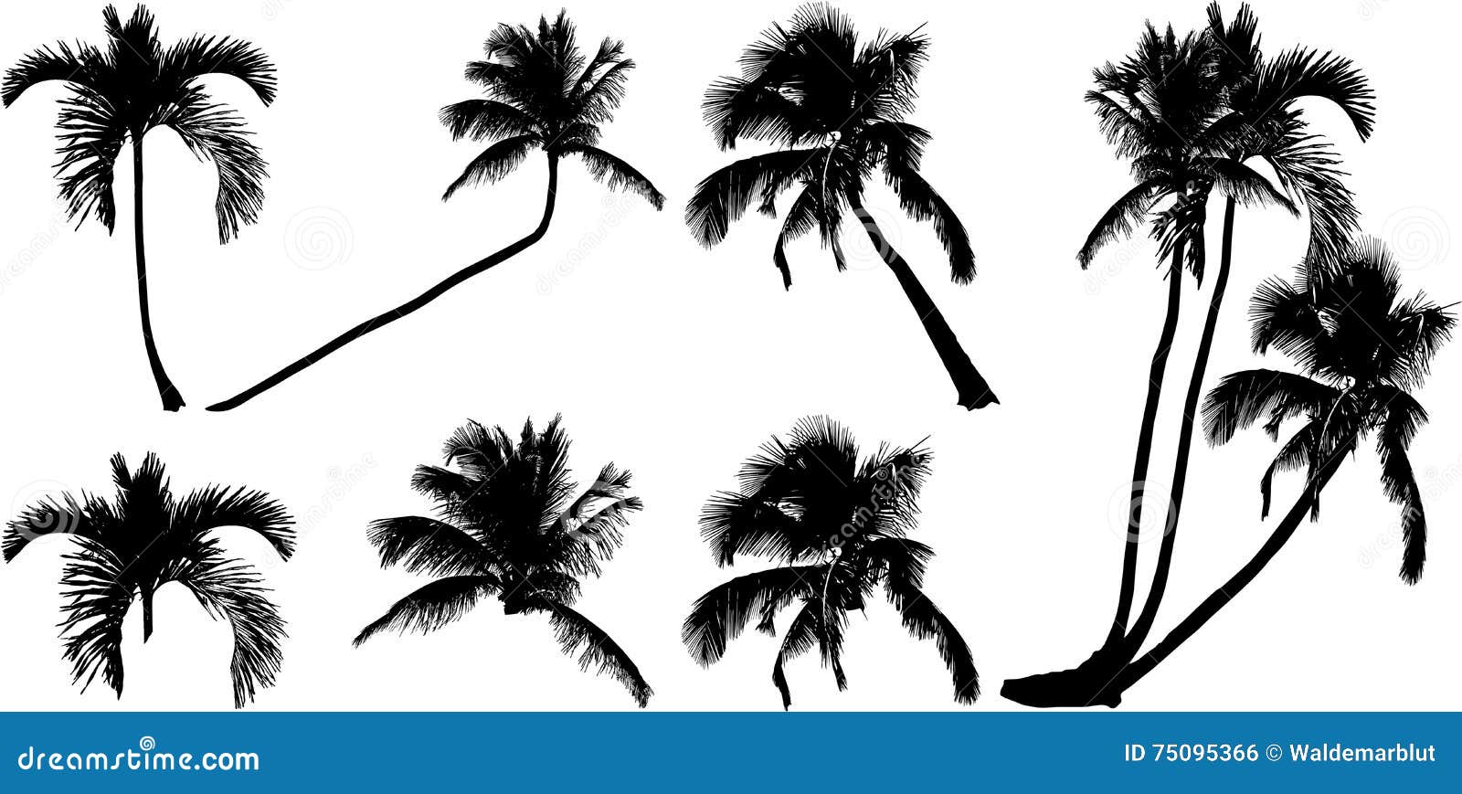 Siluetas De Palmeras Solas Tropicales Ilustración del Vector ...