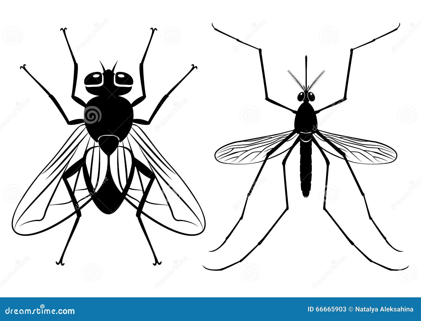 Siluetas Del Vector De Una Mosca Y De Un Mosquito Ilustración del ...