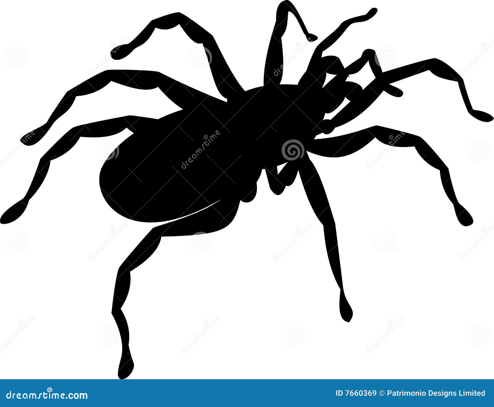 Siluetta del ragno illustrazione di stock. Illustrazione di siluetta ...