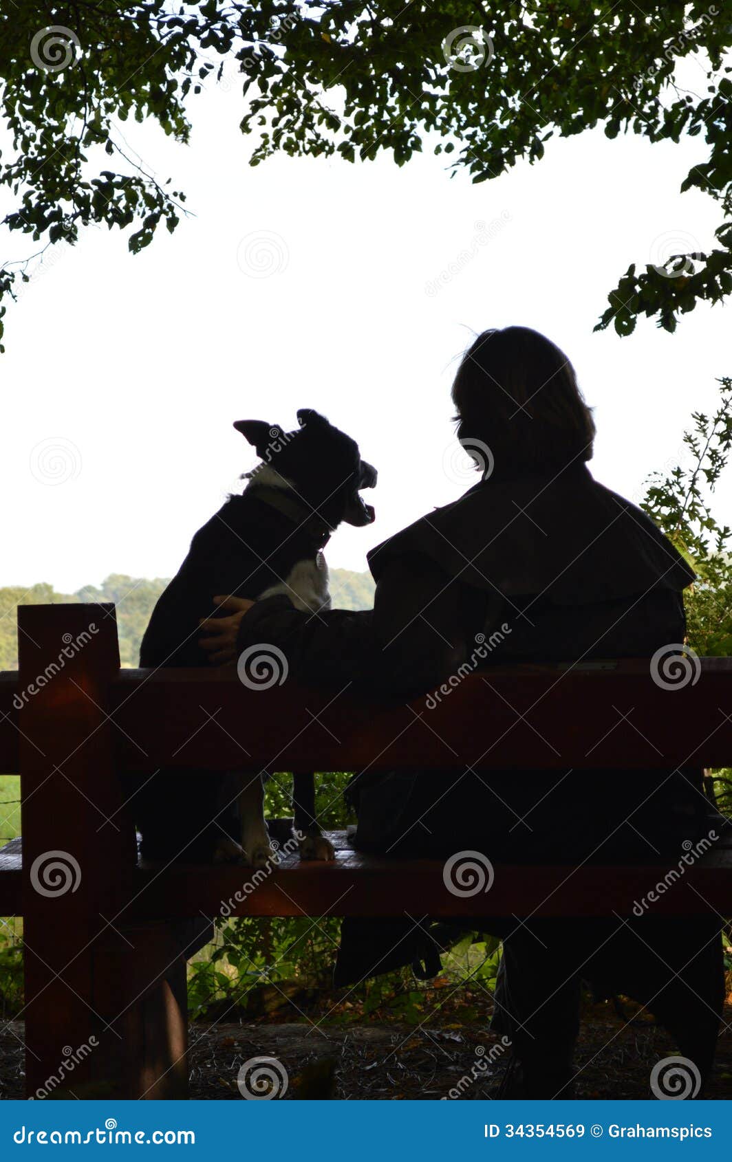 Siluetta Di Un Cane E Di Una Donna Su Un Banco Immagine Stock ...