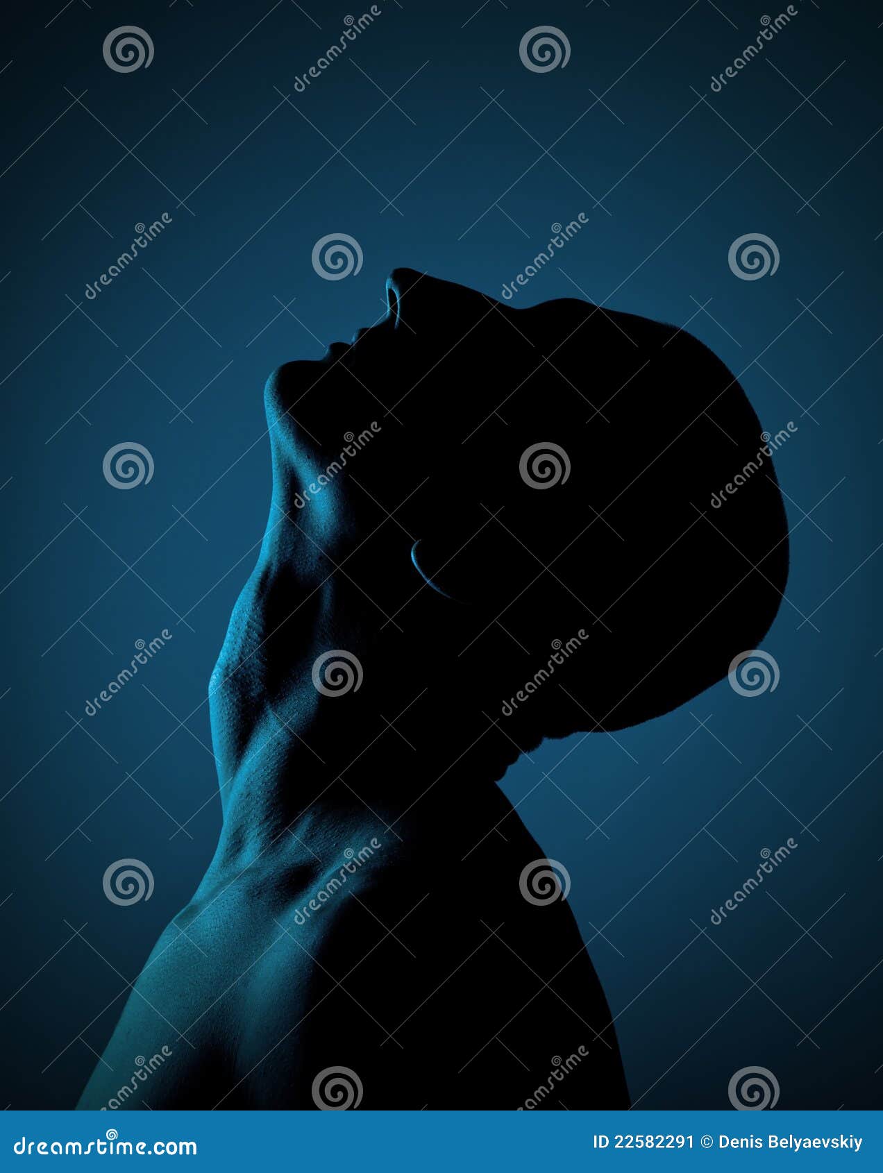 Siluetta di un uomo calvo immagine stock. Immagine di profondo - 22582291