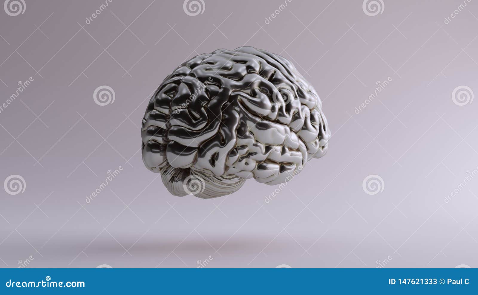 Silver Anatomical Brain stock illustration. Illustration of cerebellum ...