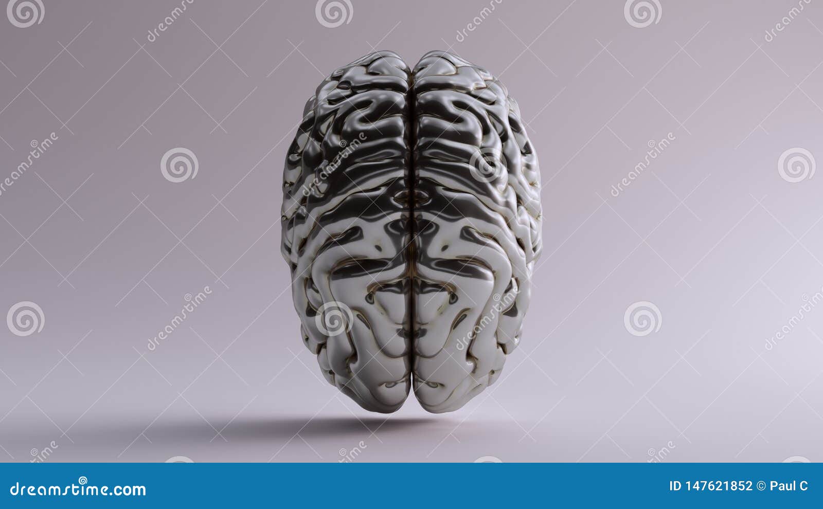 Silver Anatomical Brain stock illustration. Illustration of creative ...