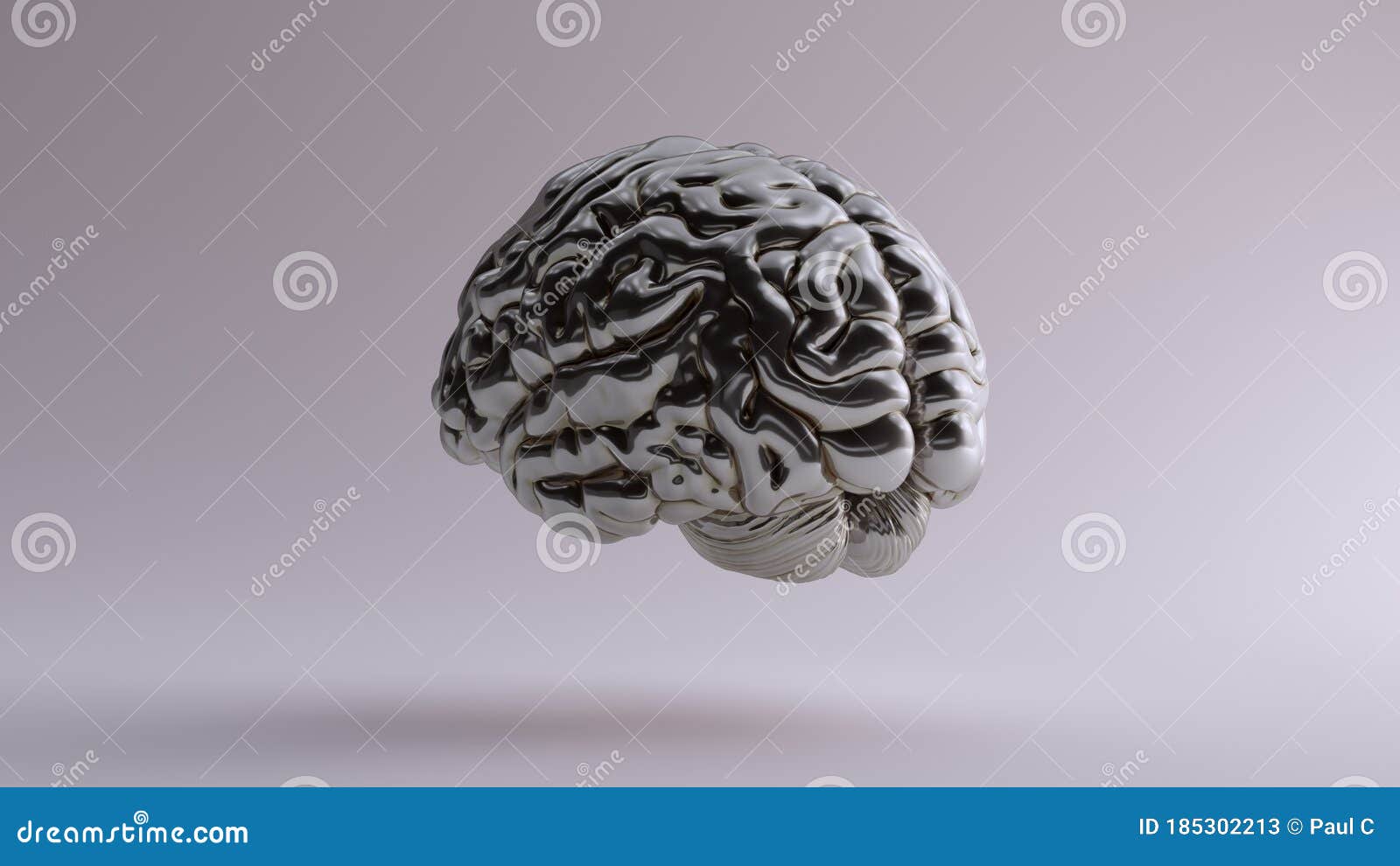Silver Anatomical Brain stock illustration. Illustration of functions ...