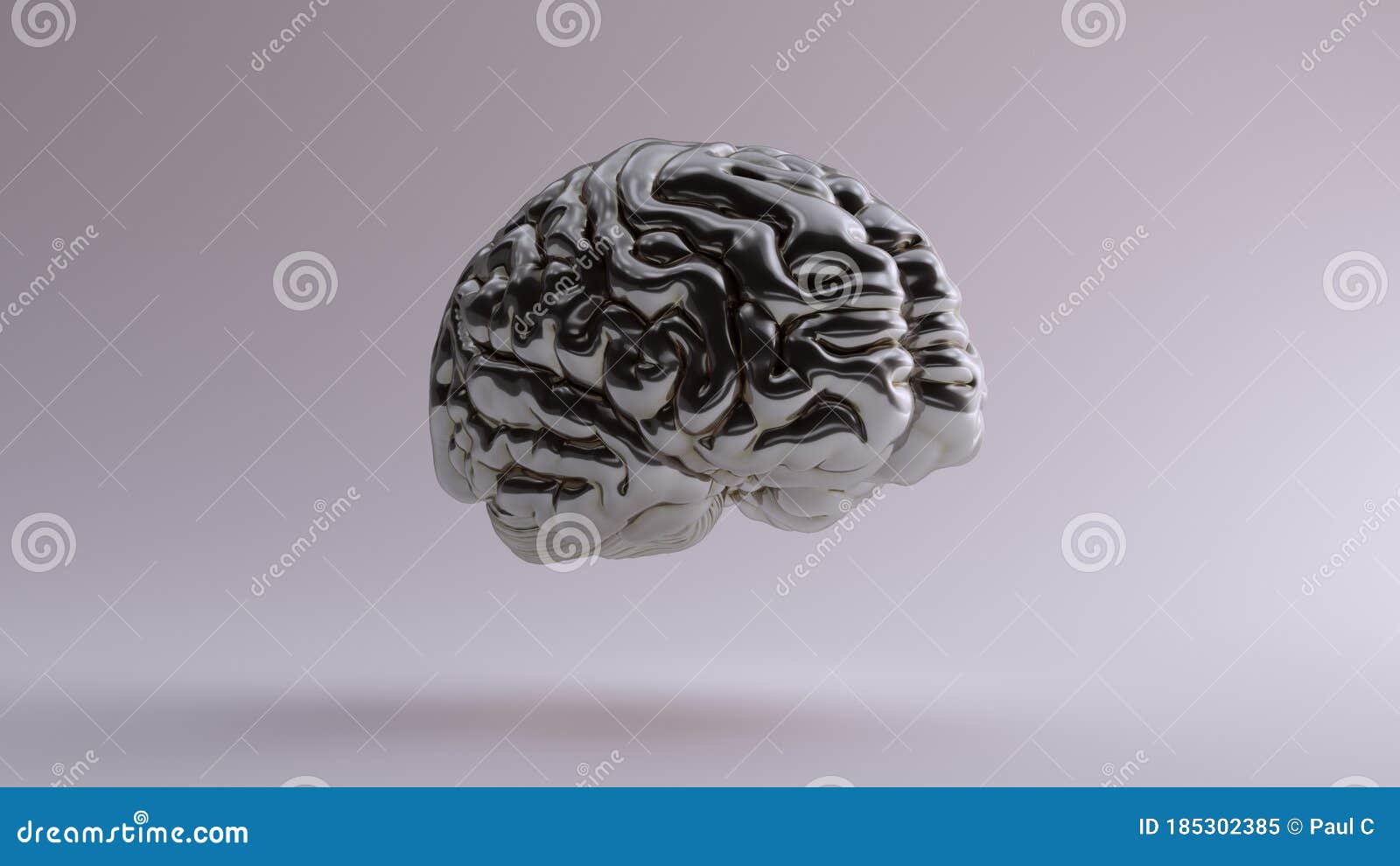 Silver Anatomical Brain stock illustration. Illustration of ...