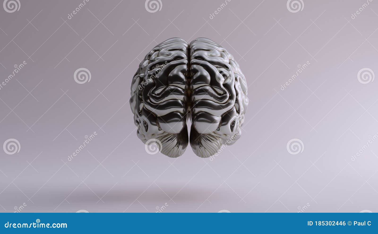 Silver Anatomical Brain stock illustration. Illustration of medical ...