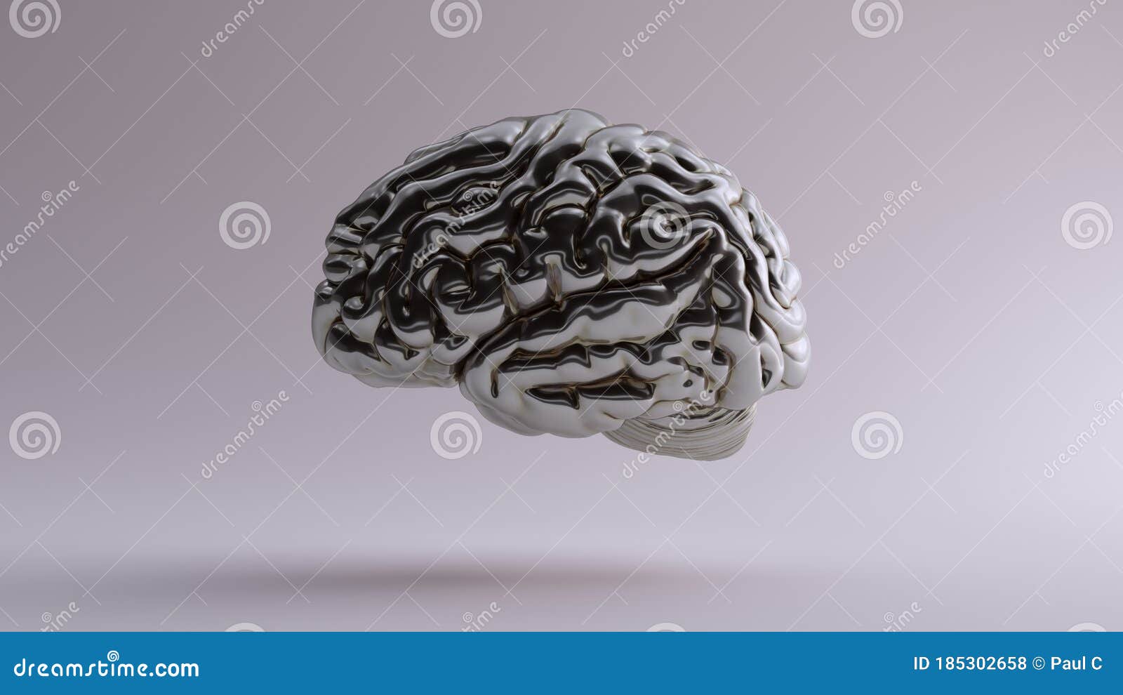 Silver Anatomical Brain stock illustration. Illustration of graphic ...