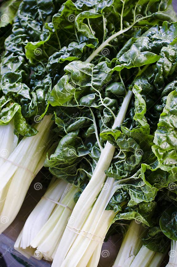 Silver beet stock image. Image of diet, closeup, dinner - 24302077