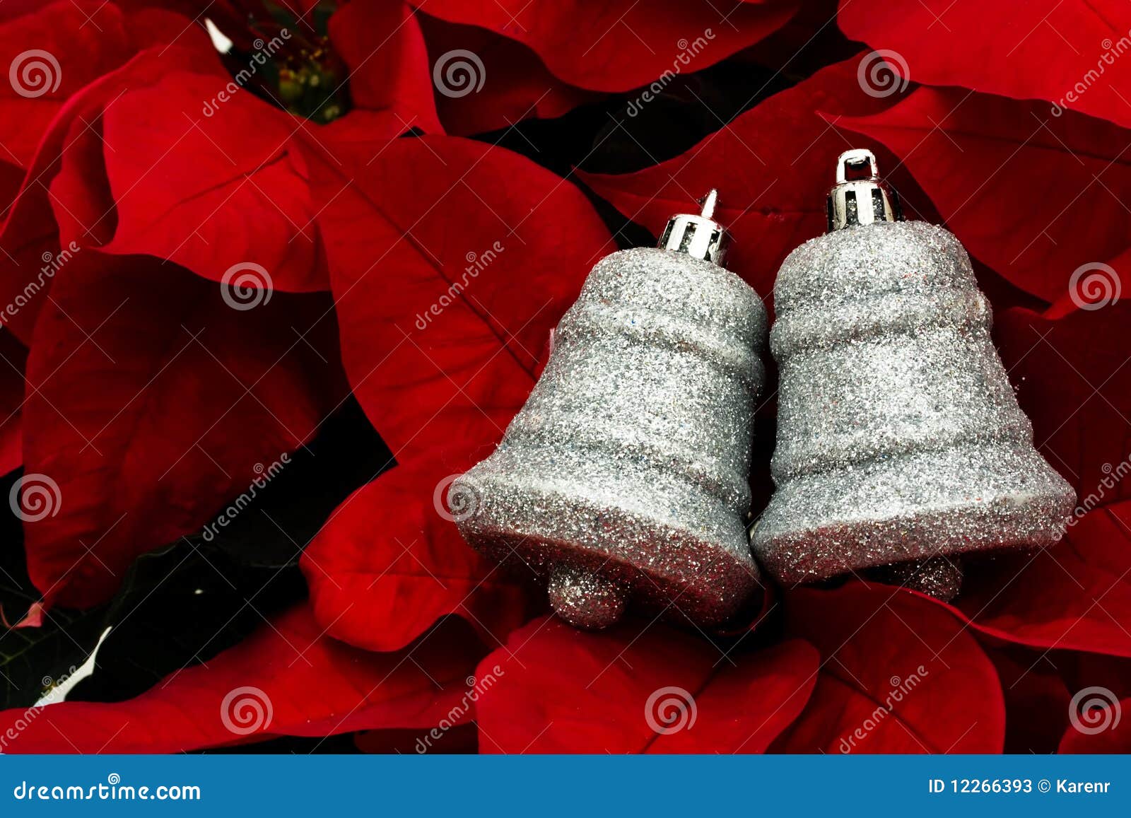 Silver Bells stock image. Image of holidays, flower, leaves - 12266393